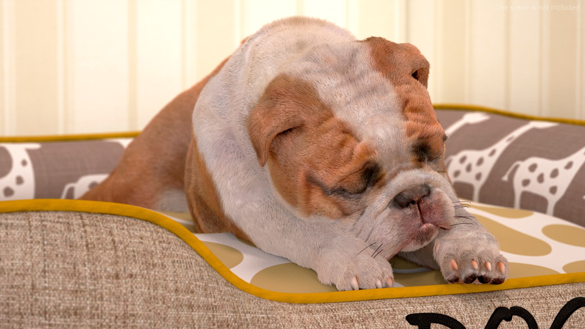 3D Bulldog Fur Rigged - TurboSquid 2180206