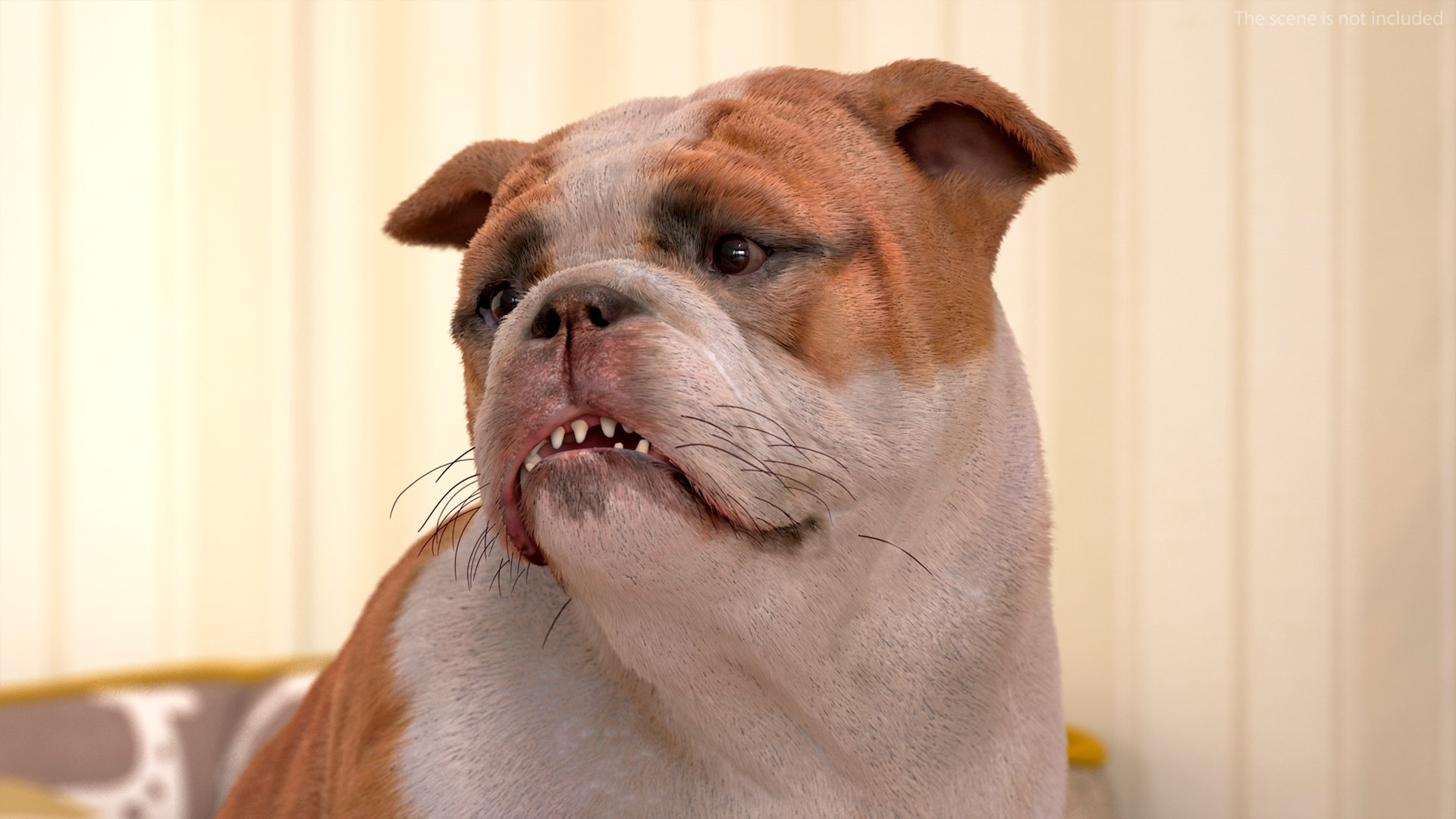 3D Bulldog Fur Rigged - TurboSquid 2180206