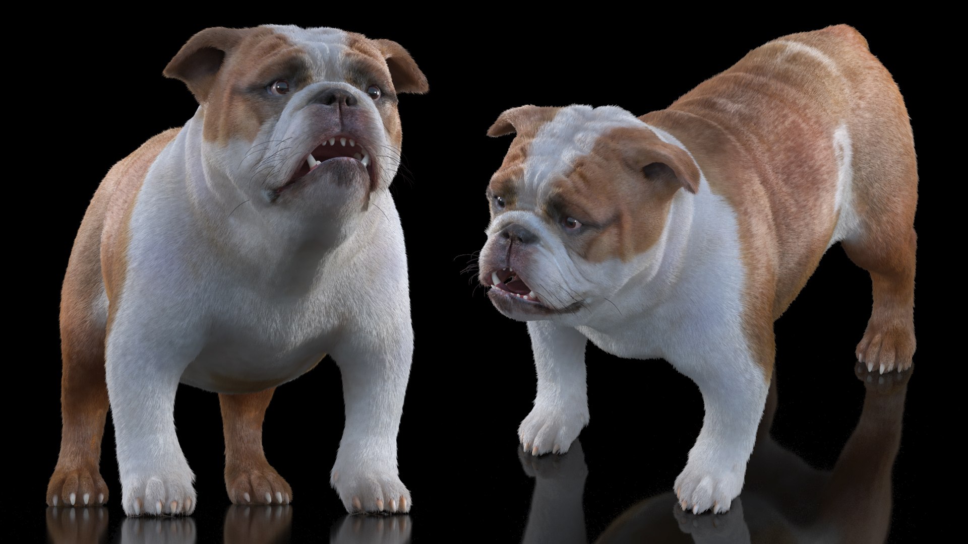 3D Bulldog Fur Rigged - TurboSquid 2180206