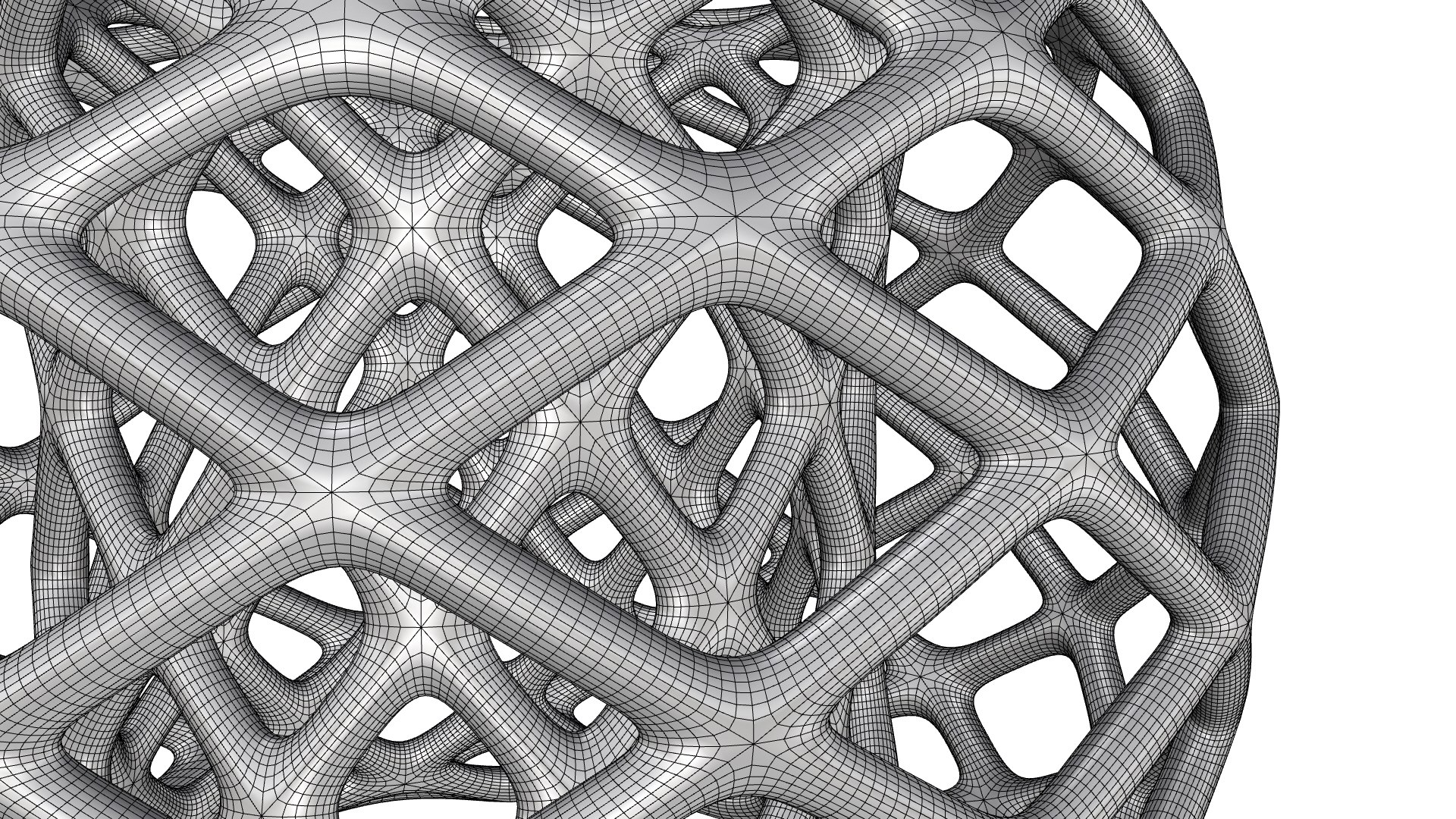 Skeleton Torus 01 3D Model - TurboSquid 2241536