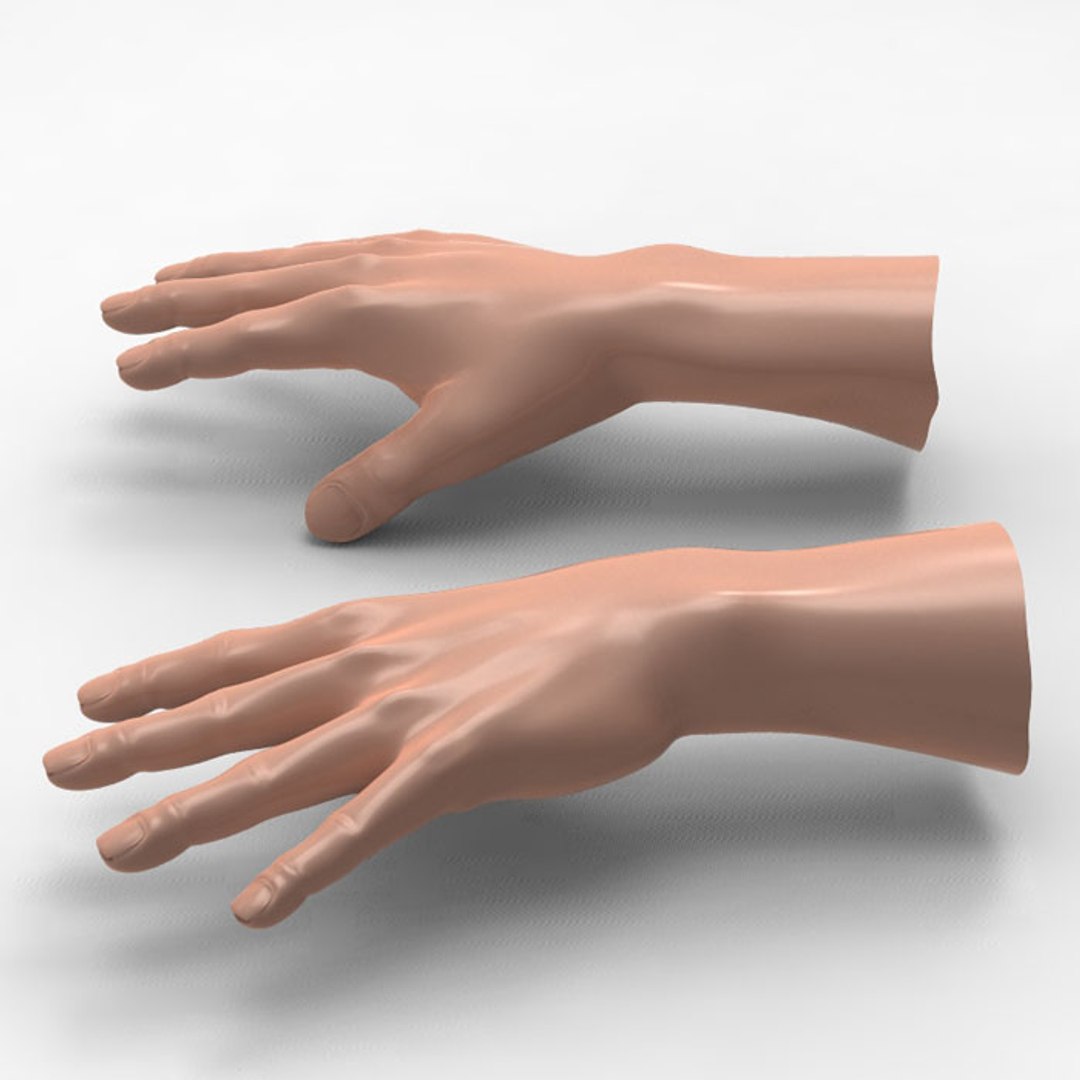 3d Human Male Hand Model