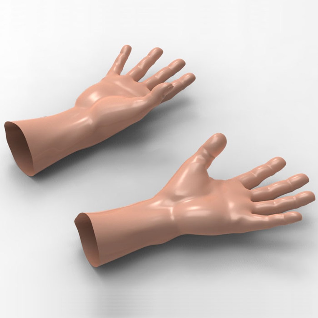 3d Human Male Hand Model