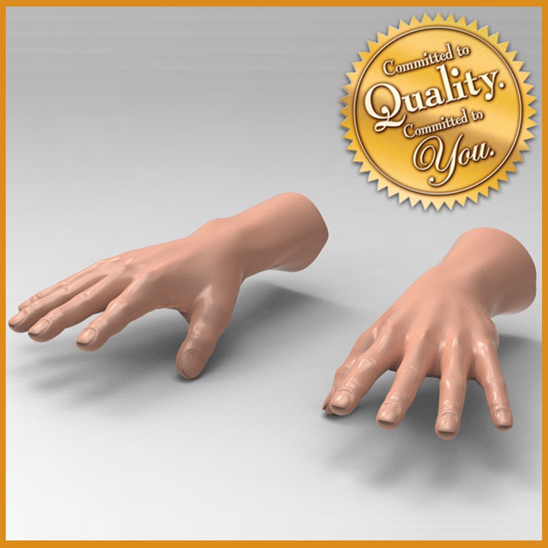 3d Human Male Hand Model