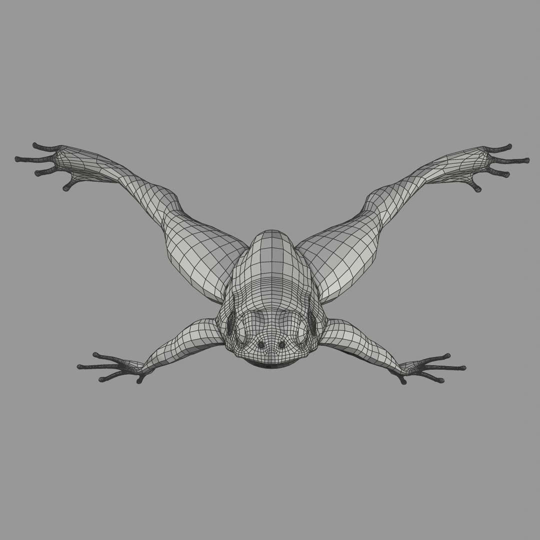 photorealistic green frog male rigged ma