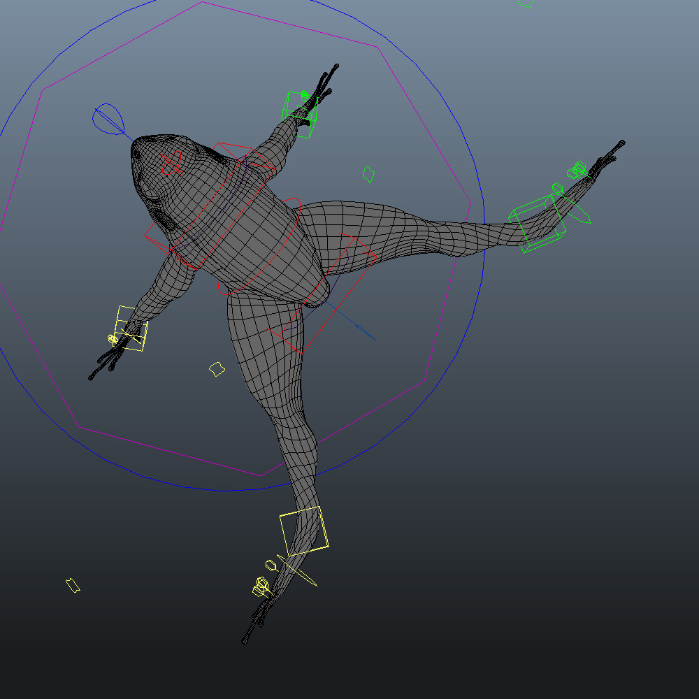 photorealistic green frog male rigged ma