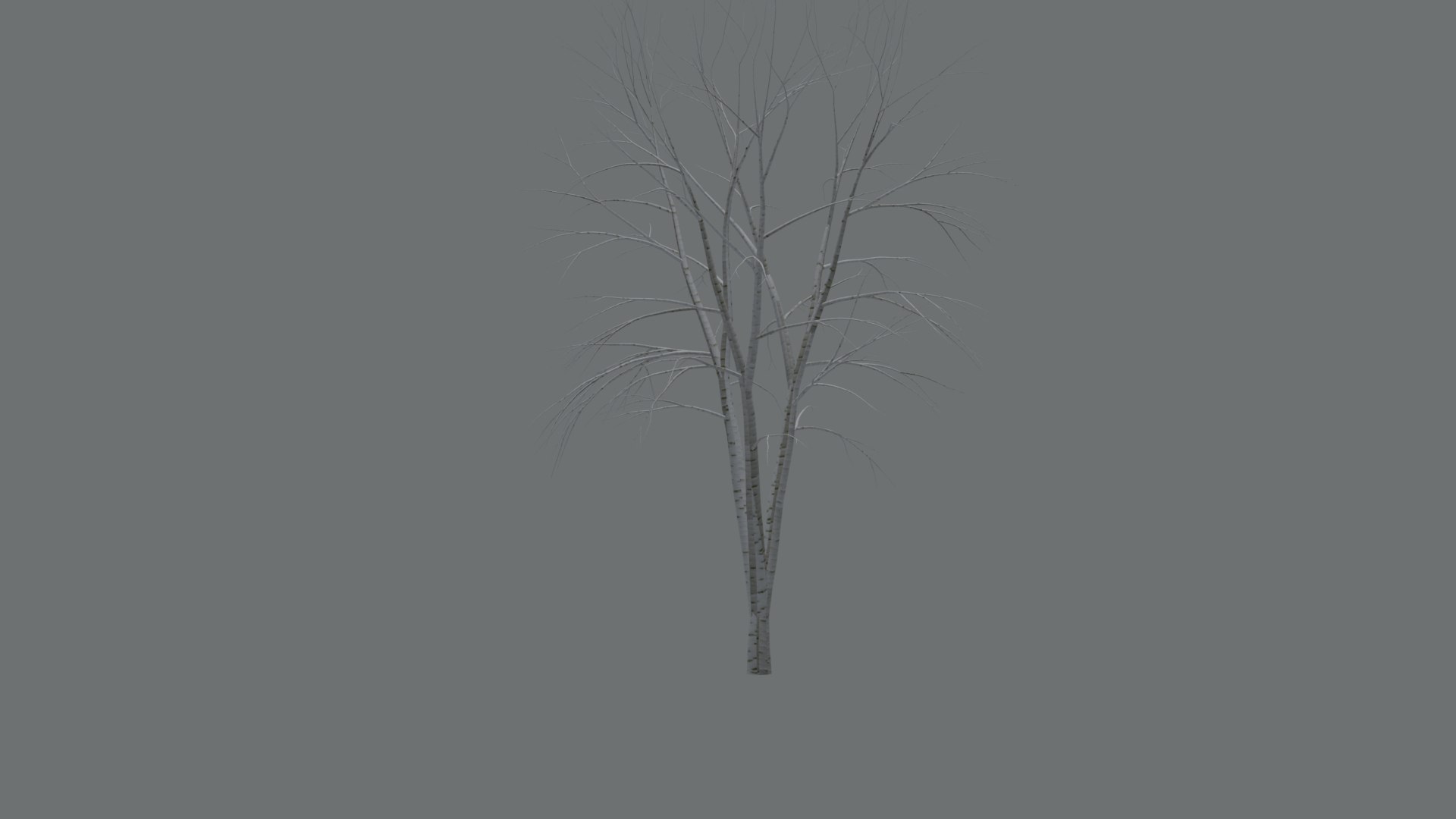 Beautiful Birch Tree Pack Low-poly 3D Model Model - TurboSquid 2064039