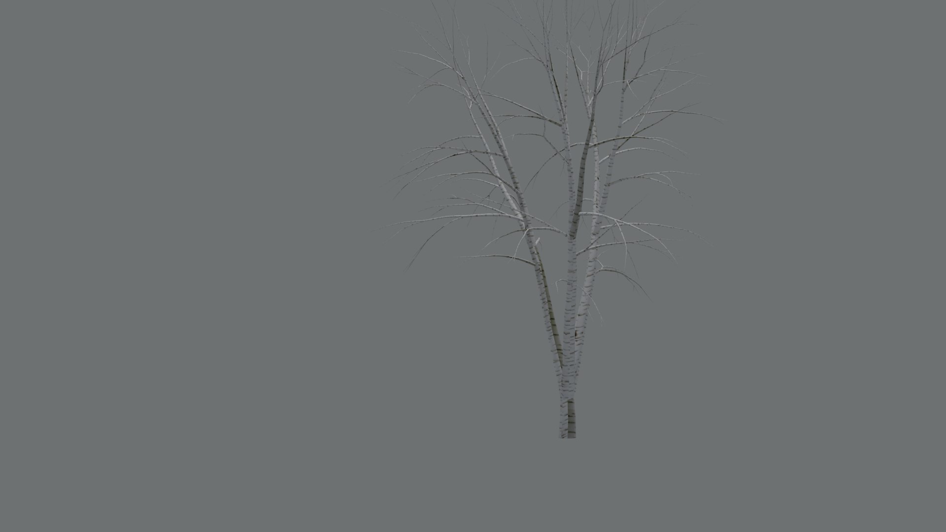 Beautiful Birch Tree Pack Low-poly 3D Model Model - TurboSquid 2064039