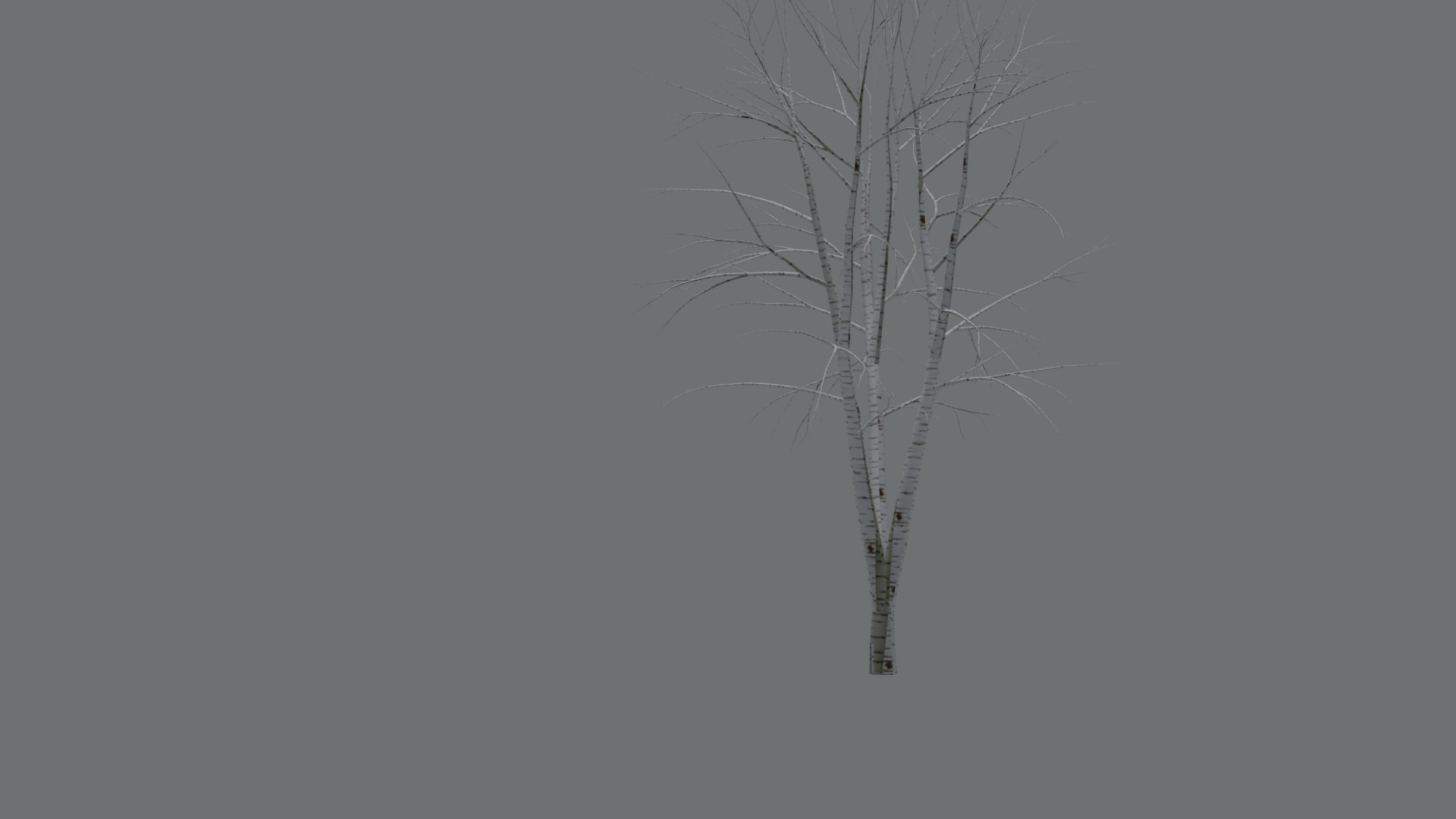 Beautiful Birch Tree Pack Low-poly 3D Model Model - TurboSquid 2064039