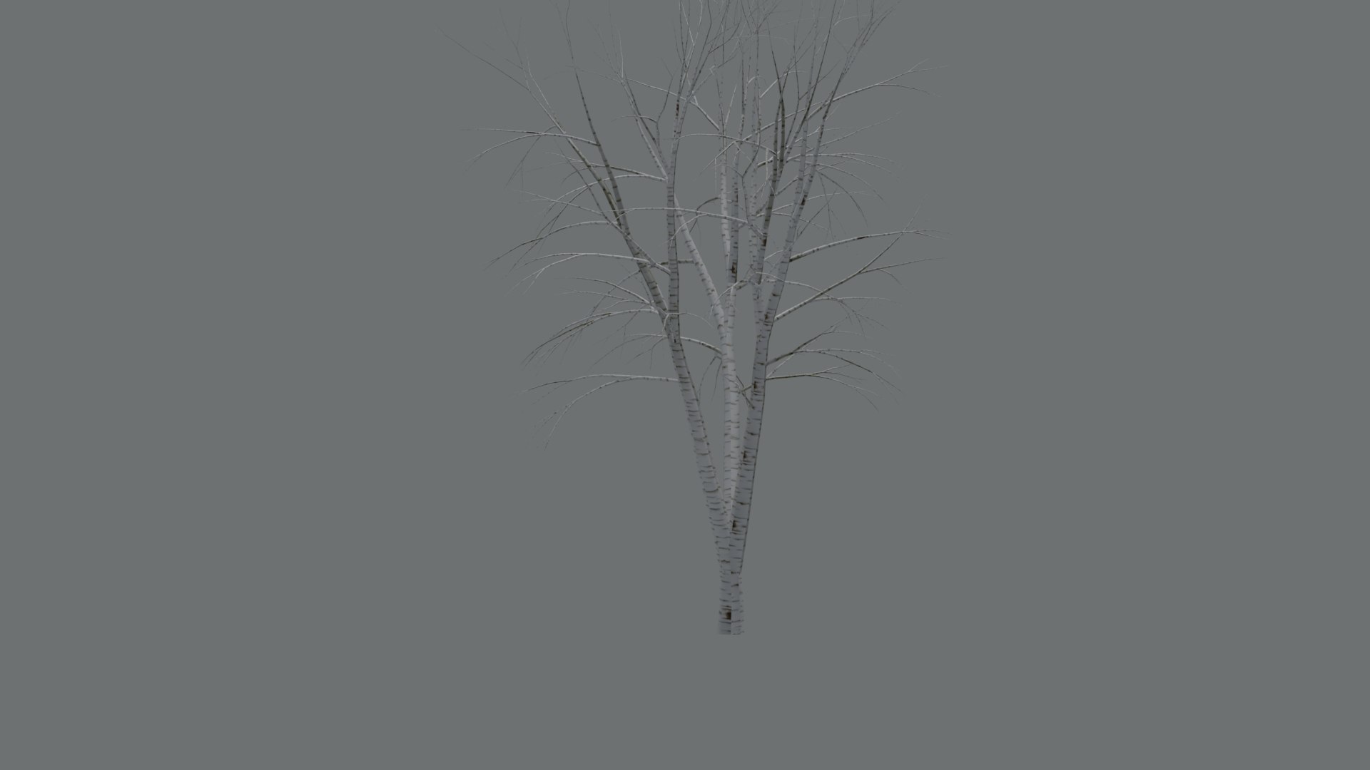 Beautiful Birch Tree Pack Low-poly 3D Model Model - TurboSquid 2064039
