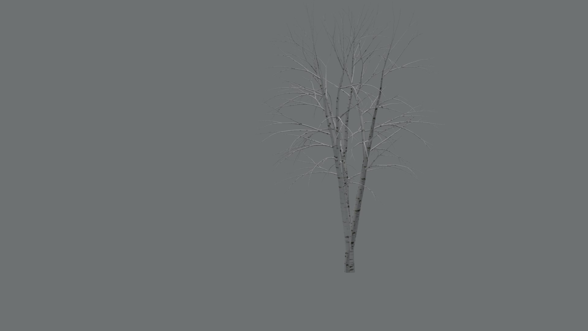 Beautiful Birch Tree Pack Low-poly 3D Model Model - TurboSquid 2064039