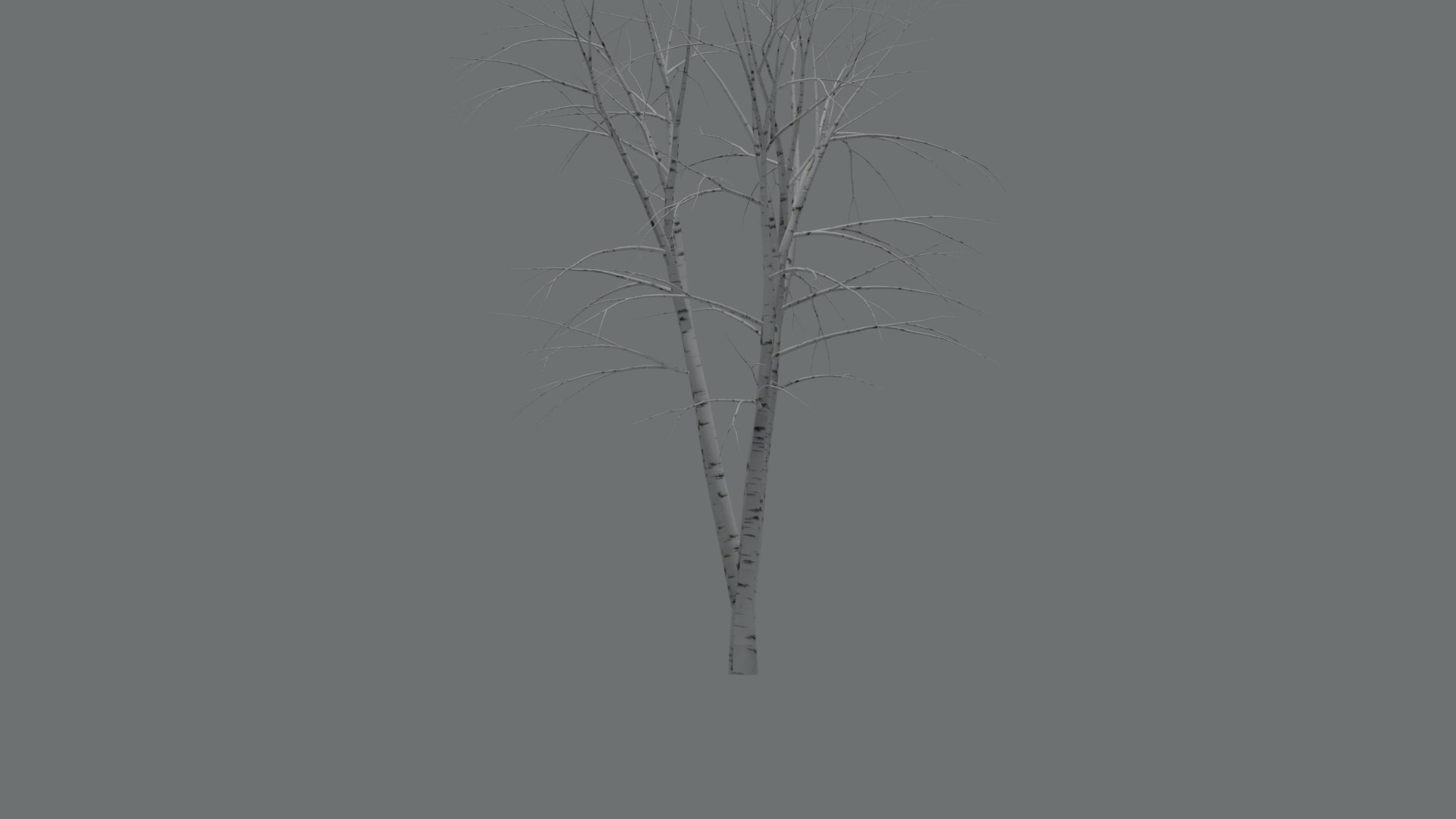 Beautiful Birch Tree Pack Low-poly 3D Model Model - TurboSquid 2064039