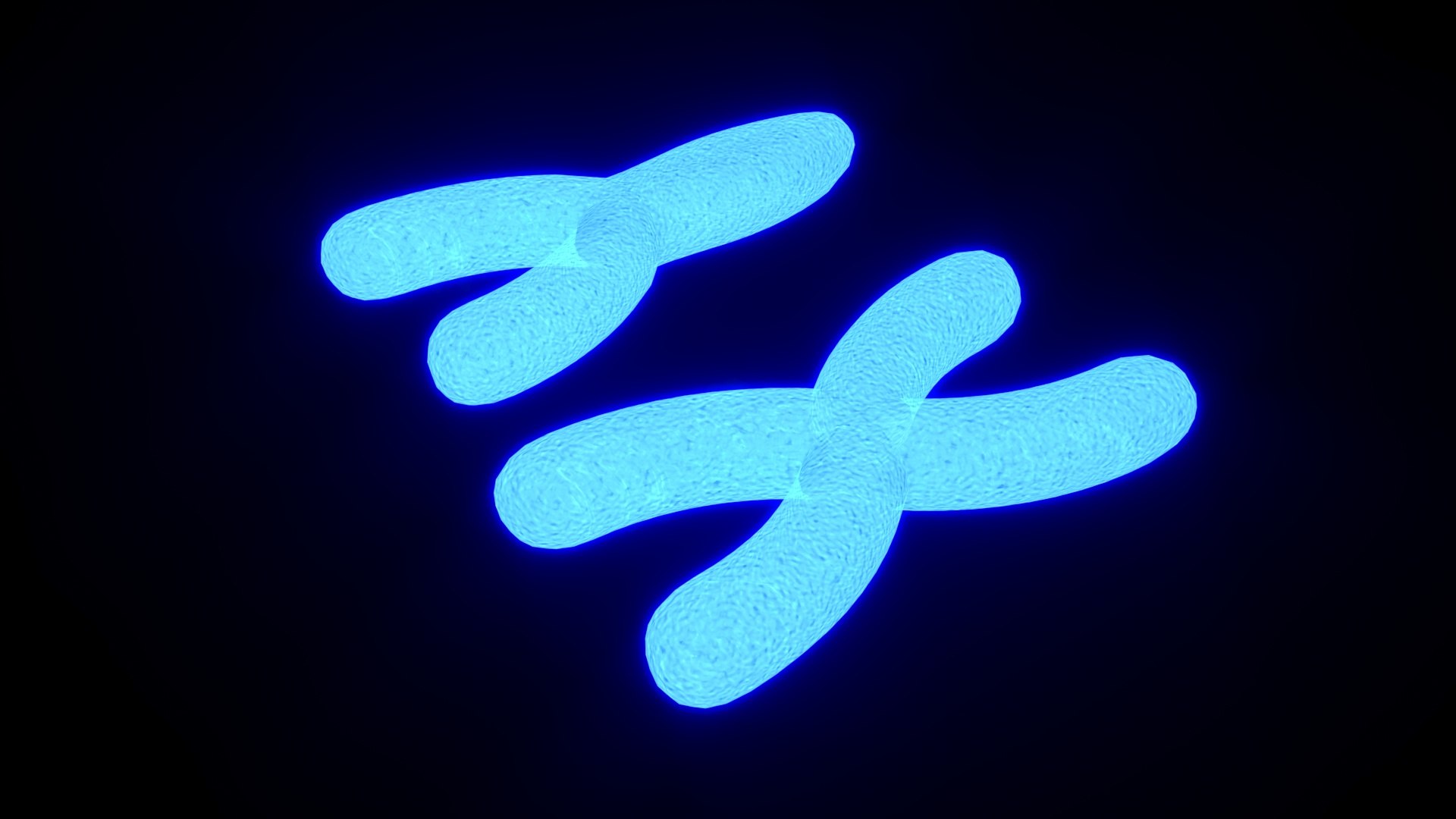 Chromosome 3D Model - TurboSquid 1857225