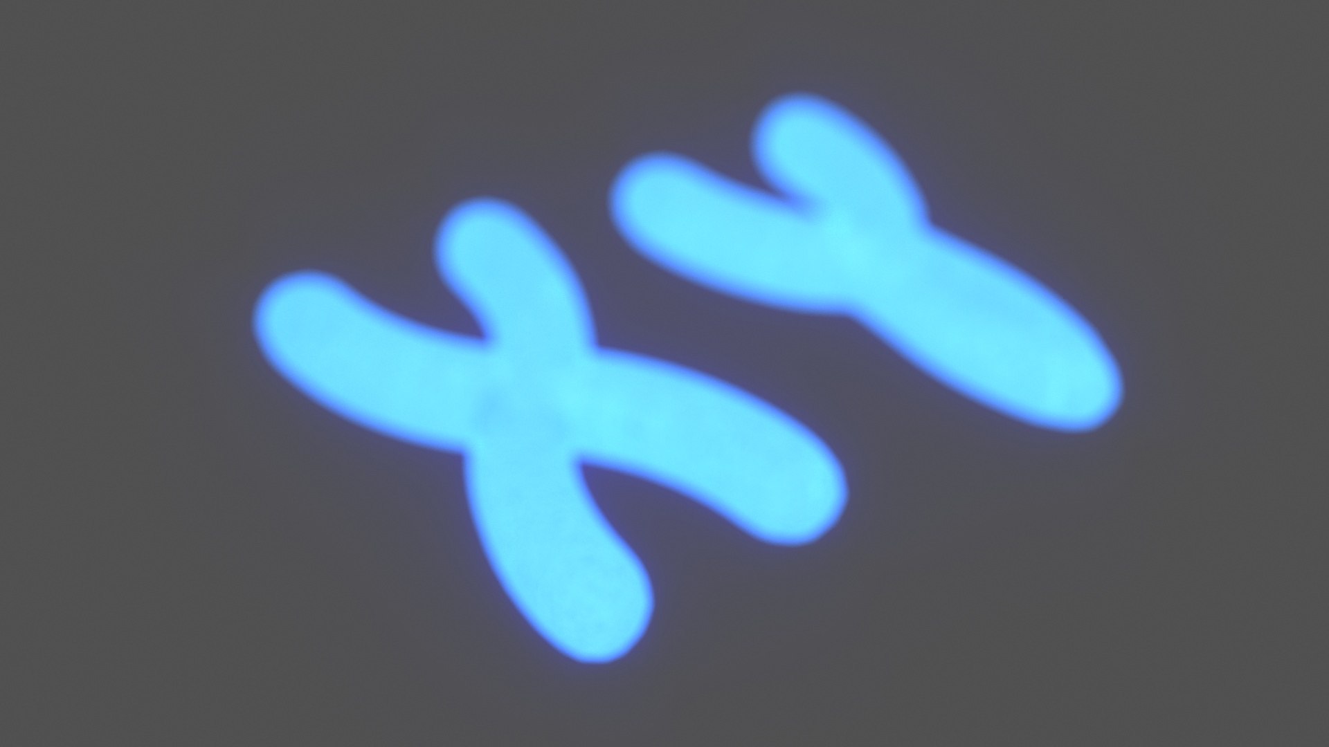 Chromosome 3D Model - TurboSquid 1857225