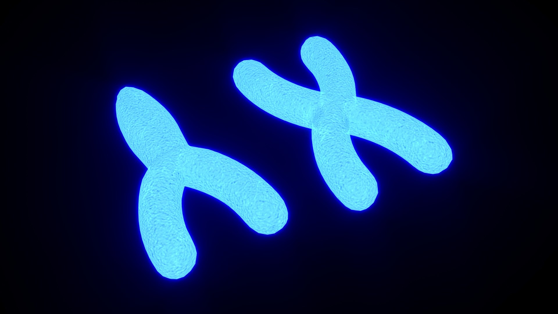 Chromosome 3D Model - TurboSquid 1857225