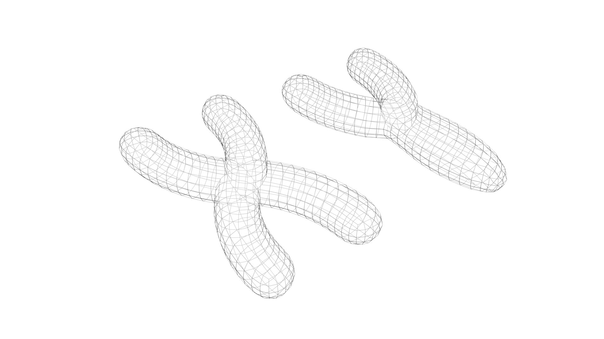 Chromosome 3D Model - TurboSquid 1857225