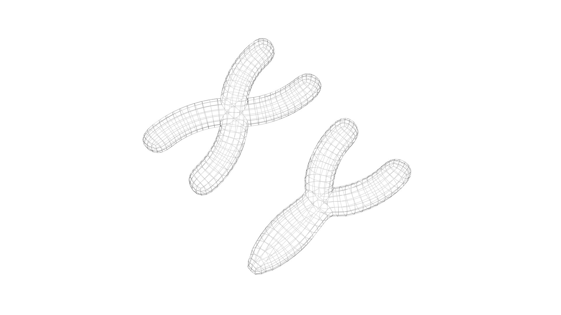 Chromosome 3D Model - TurboSquid 1857225