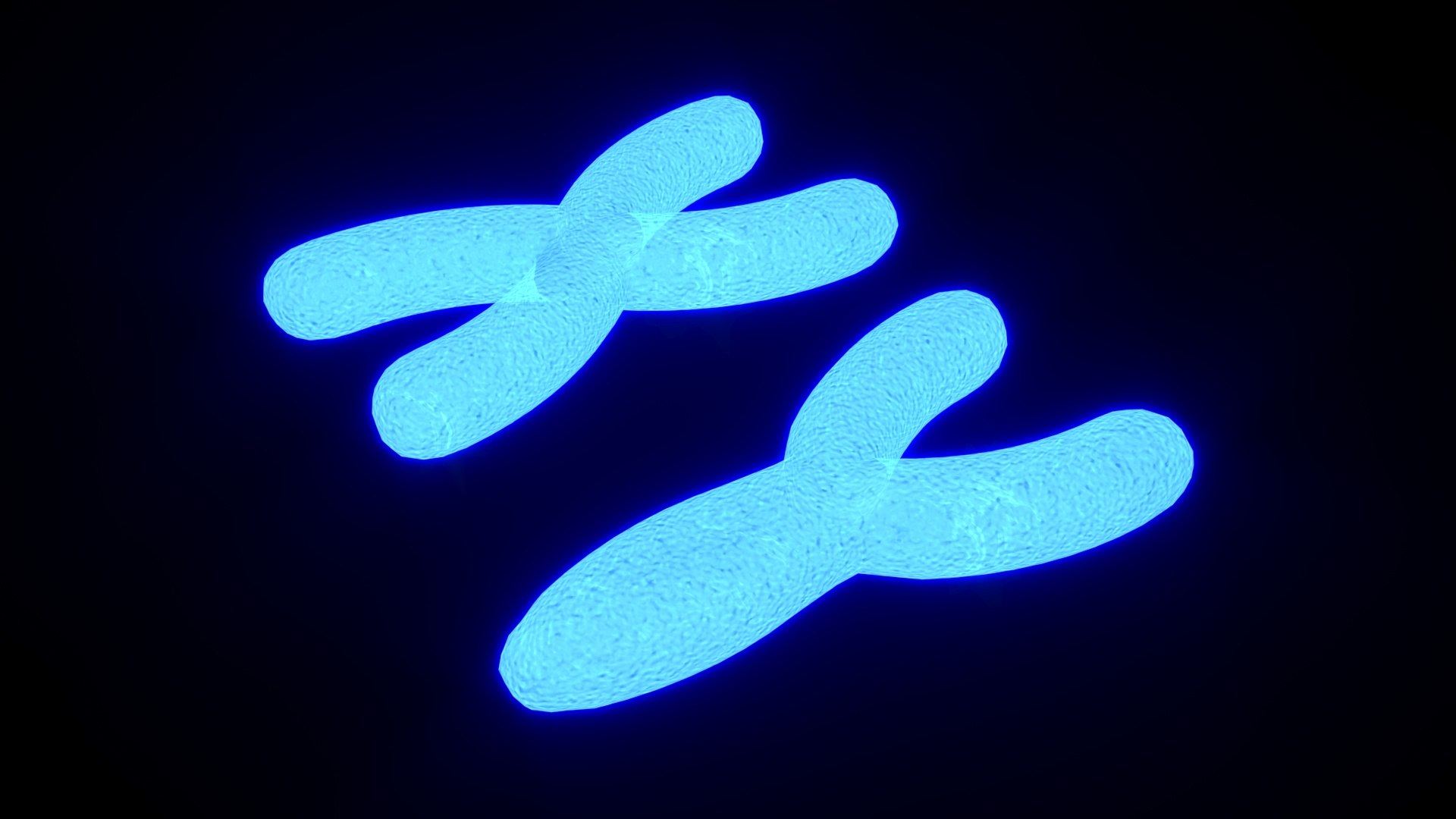 Chromosome 3D Model - TurboSquid 1857225