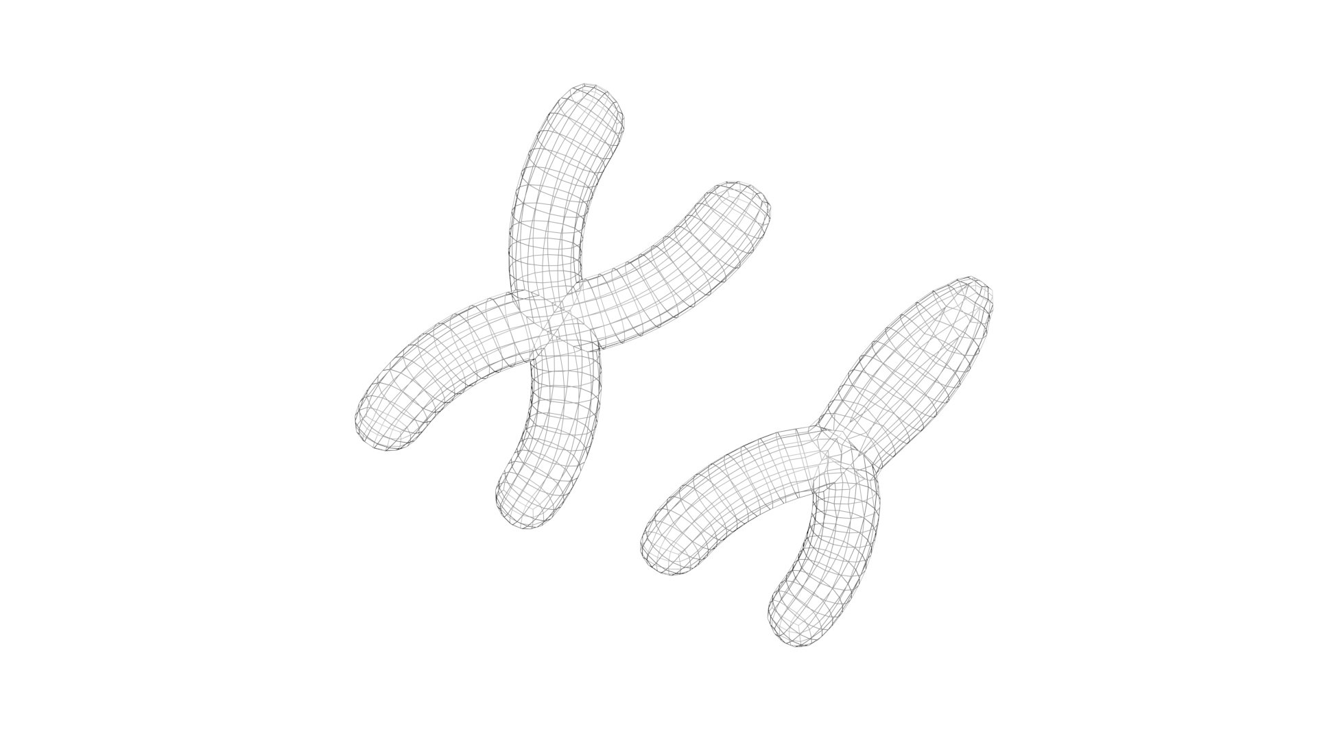 Chromosome 3D Model - TurboSquid 1857225
