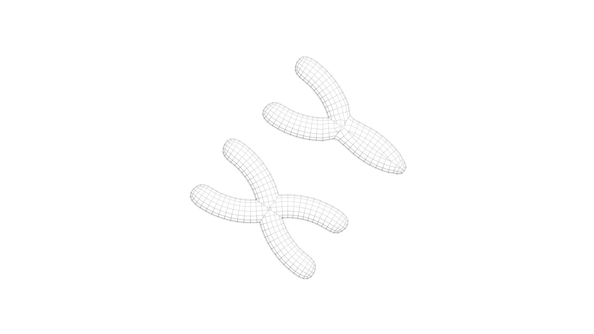 Chromosome 3D Model - TurboSquid 1857225