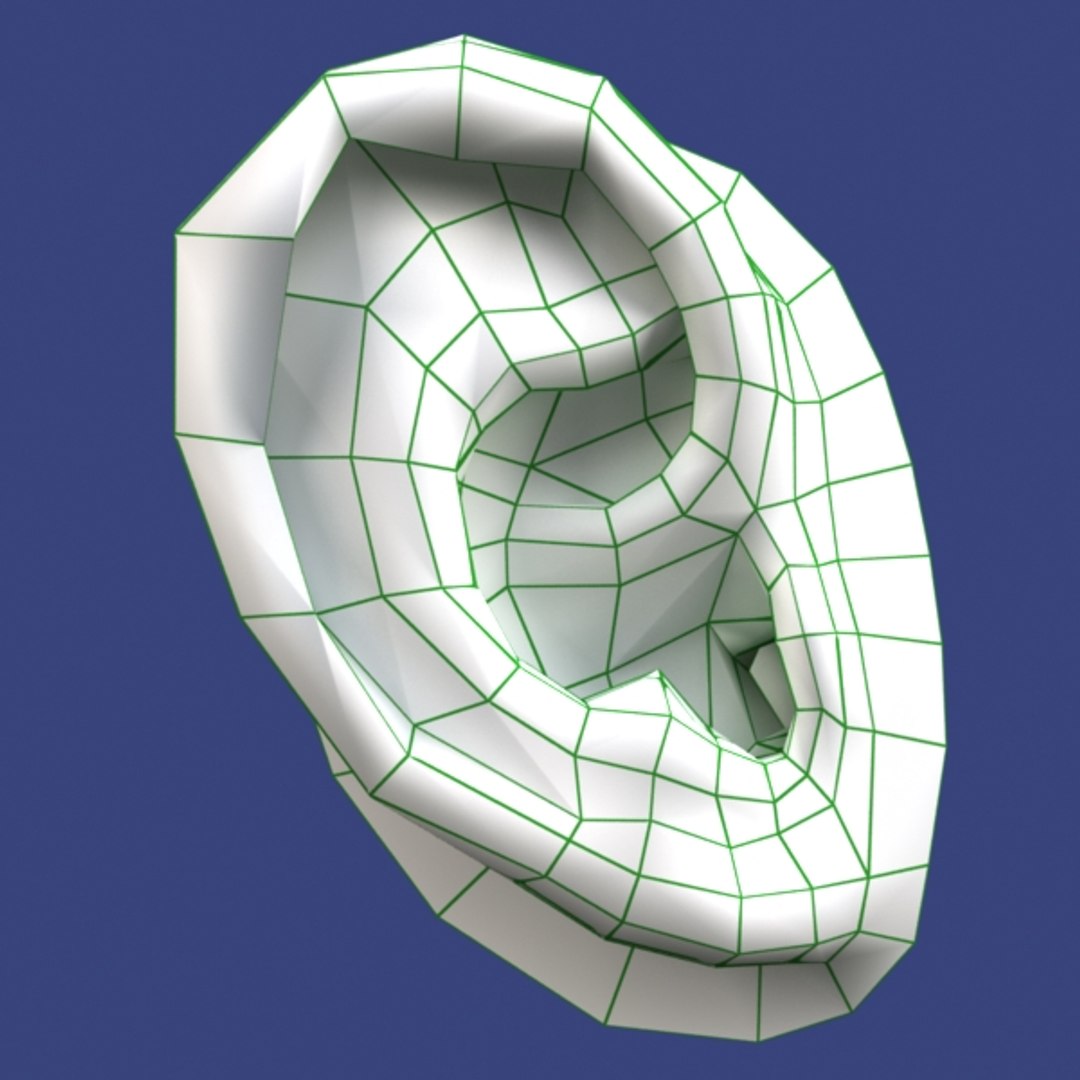 3d Ear Polygonal Lightwave Model