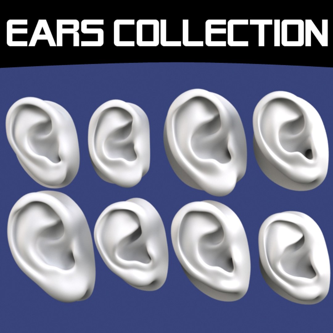 3d Ear Polygonal Lightwave Model