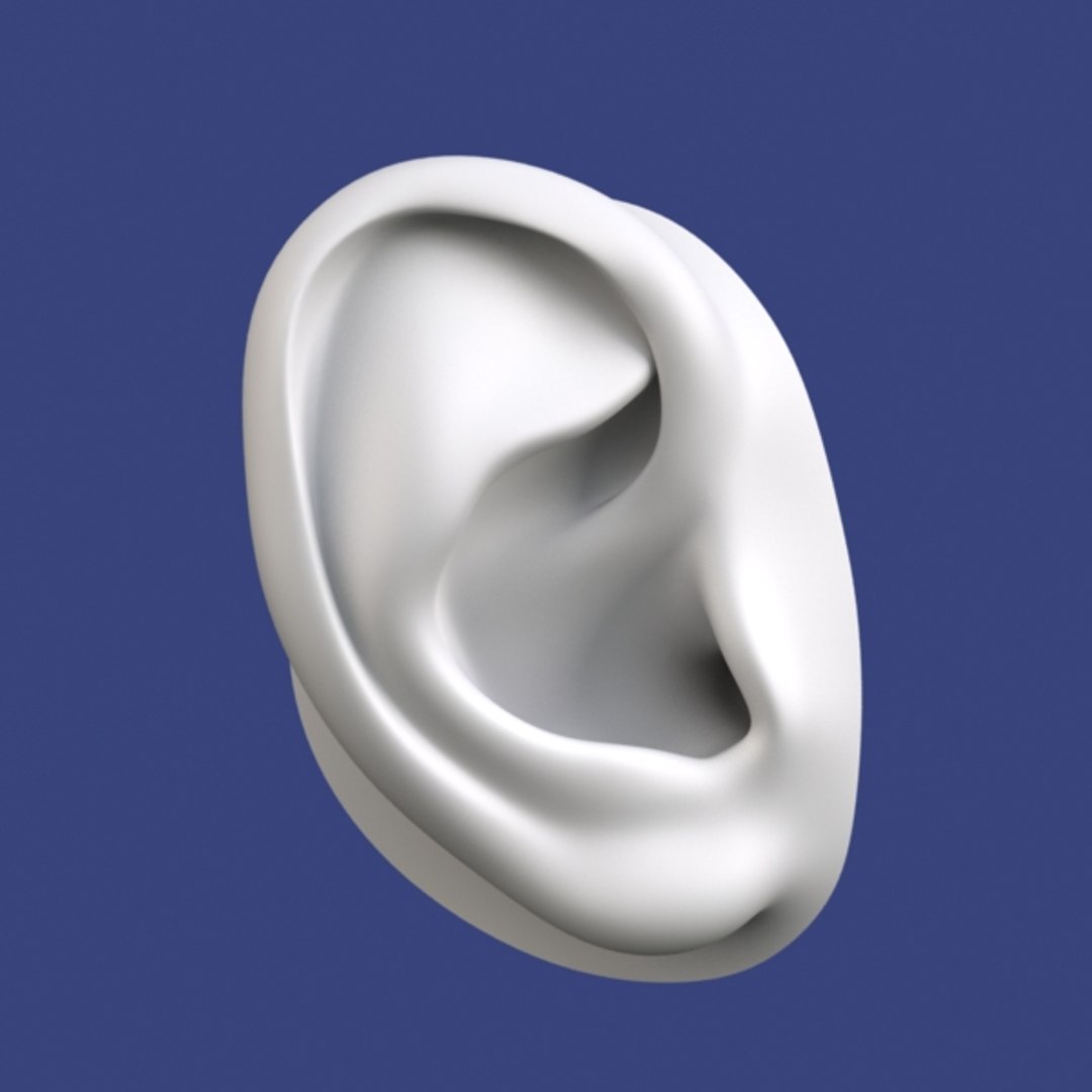 3d Ear Polygonal Lightwave Model