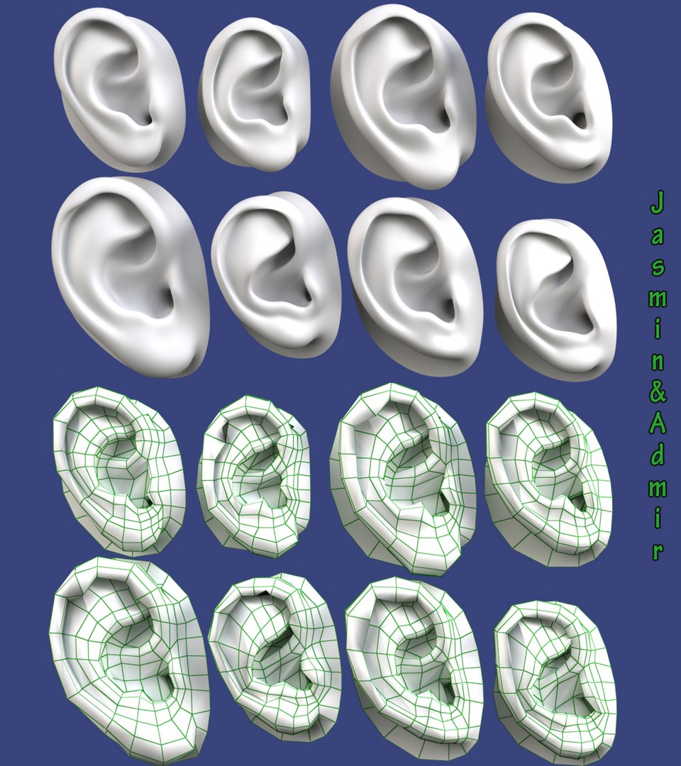 3d Ear Polygonal Lightwave Model