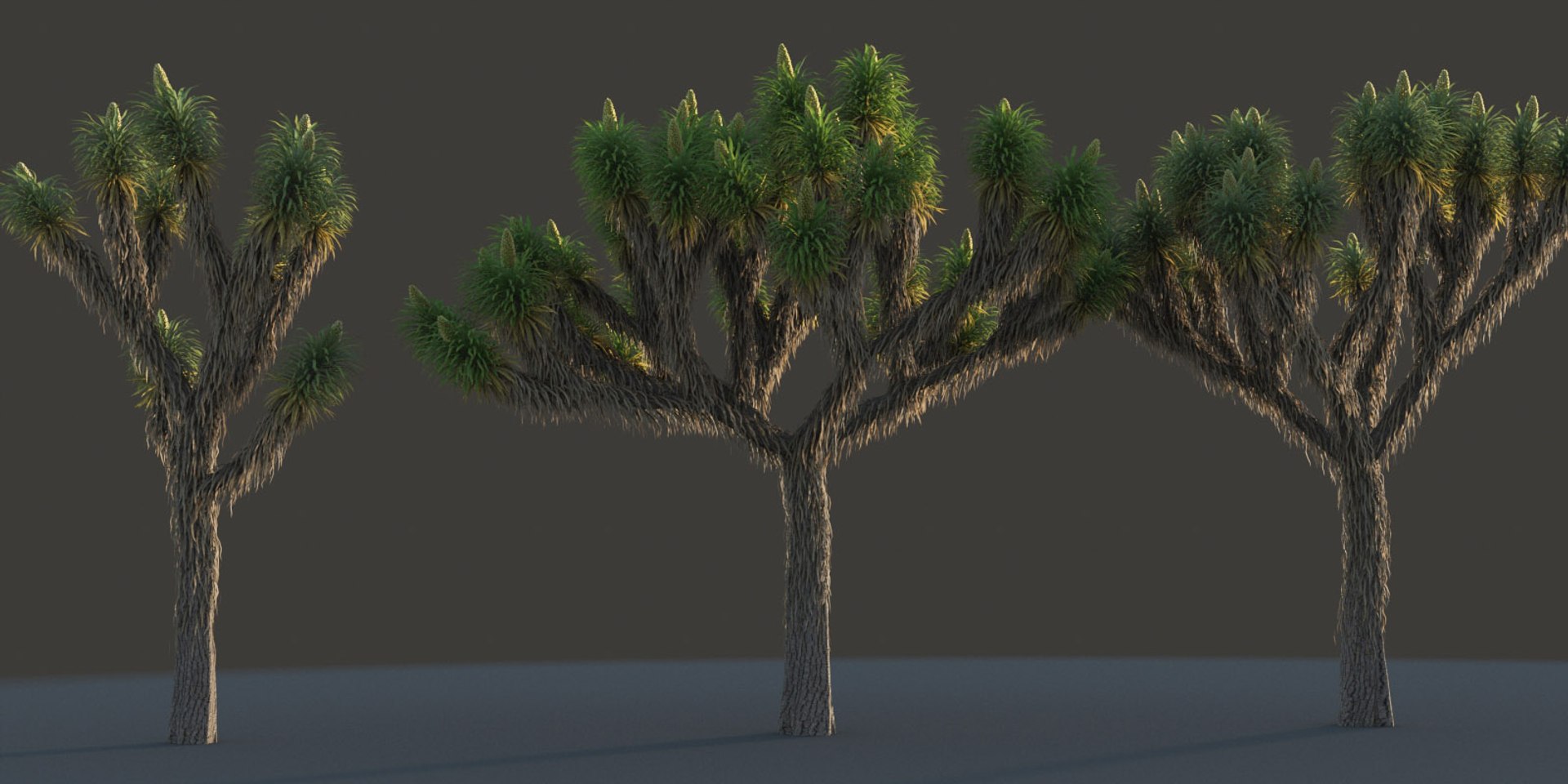 3D model XfrogPlants Joshua Tree - Yucca Brevifolia - TurboSquid 1741650