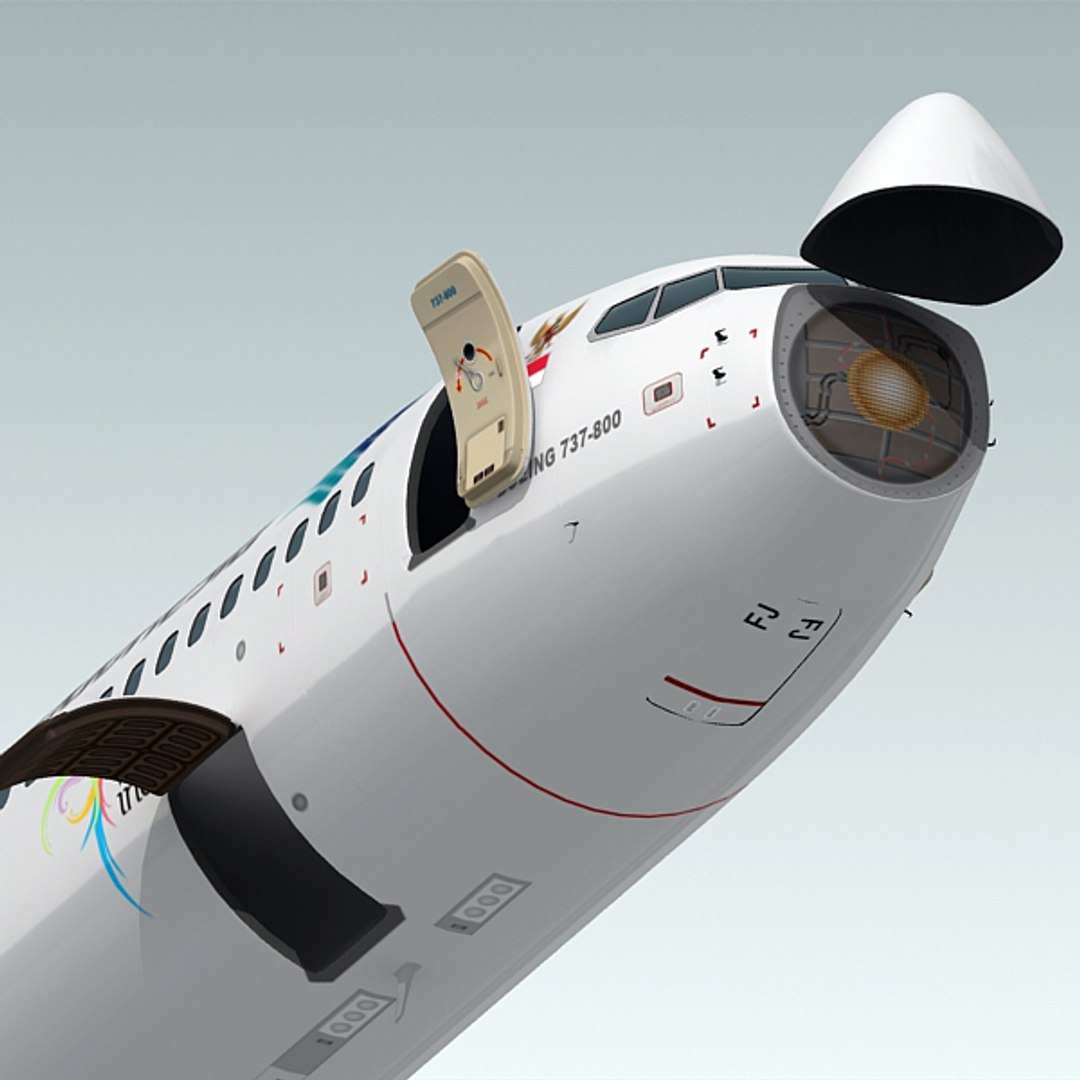 Boeing 737-800 Plane Garuda 3ds