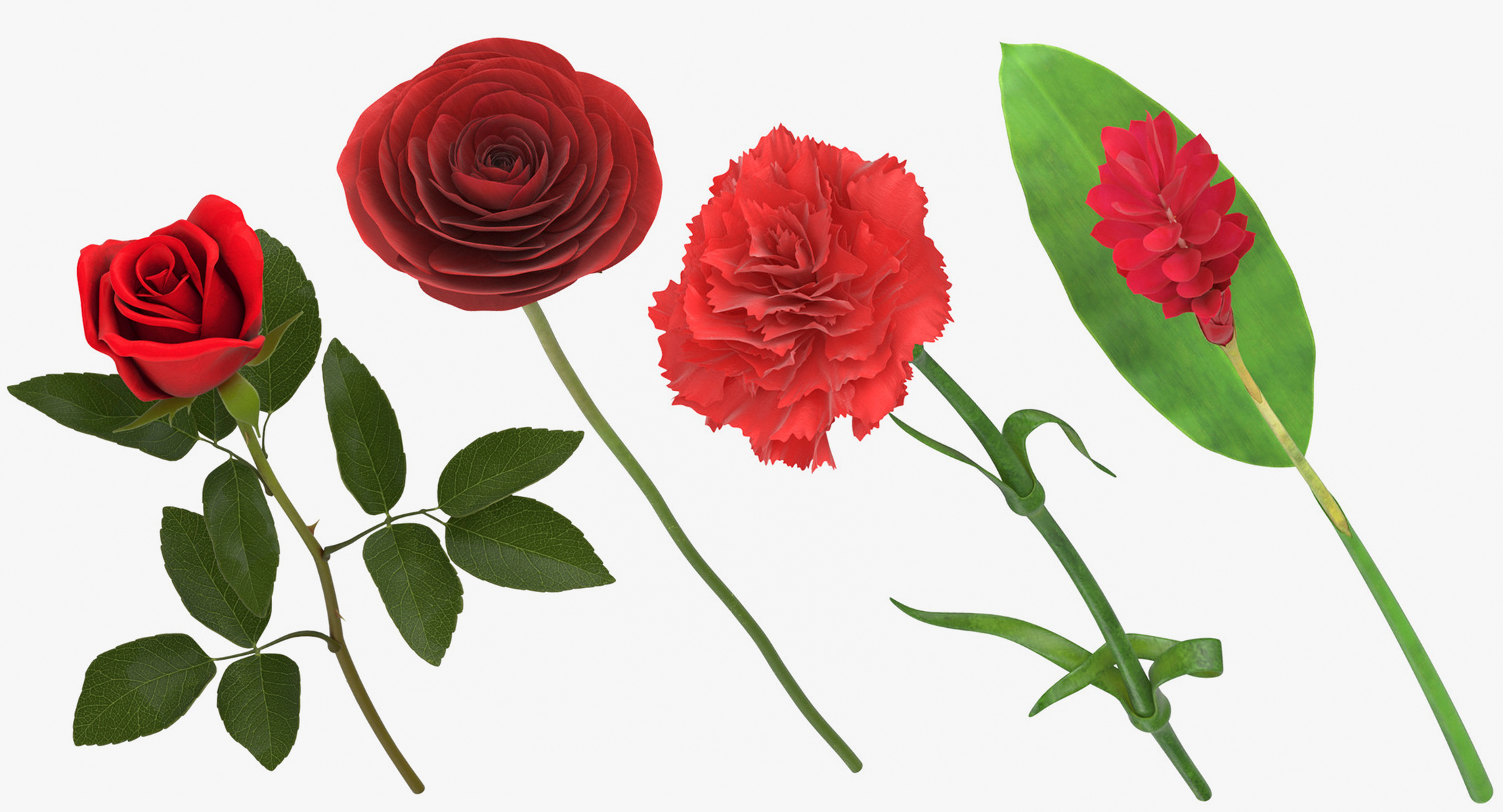 3D red floral set 01 - TurboSquid 1449913