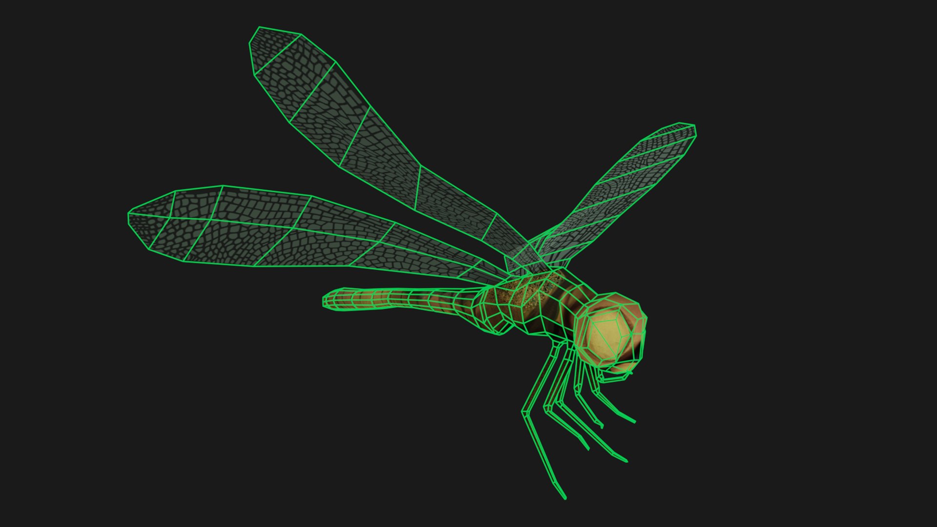 Dragonfly 3D model - TurboSquid 2138375