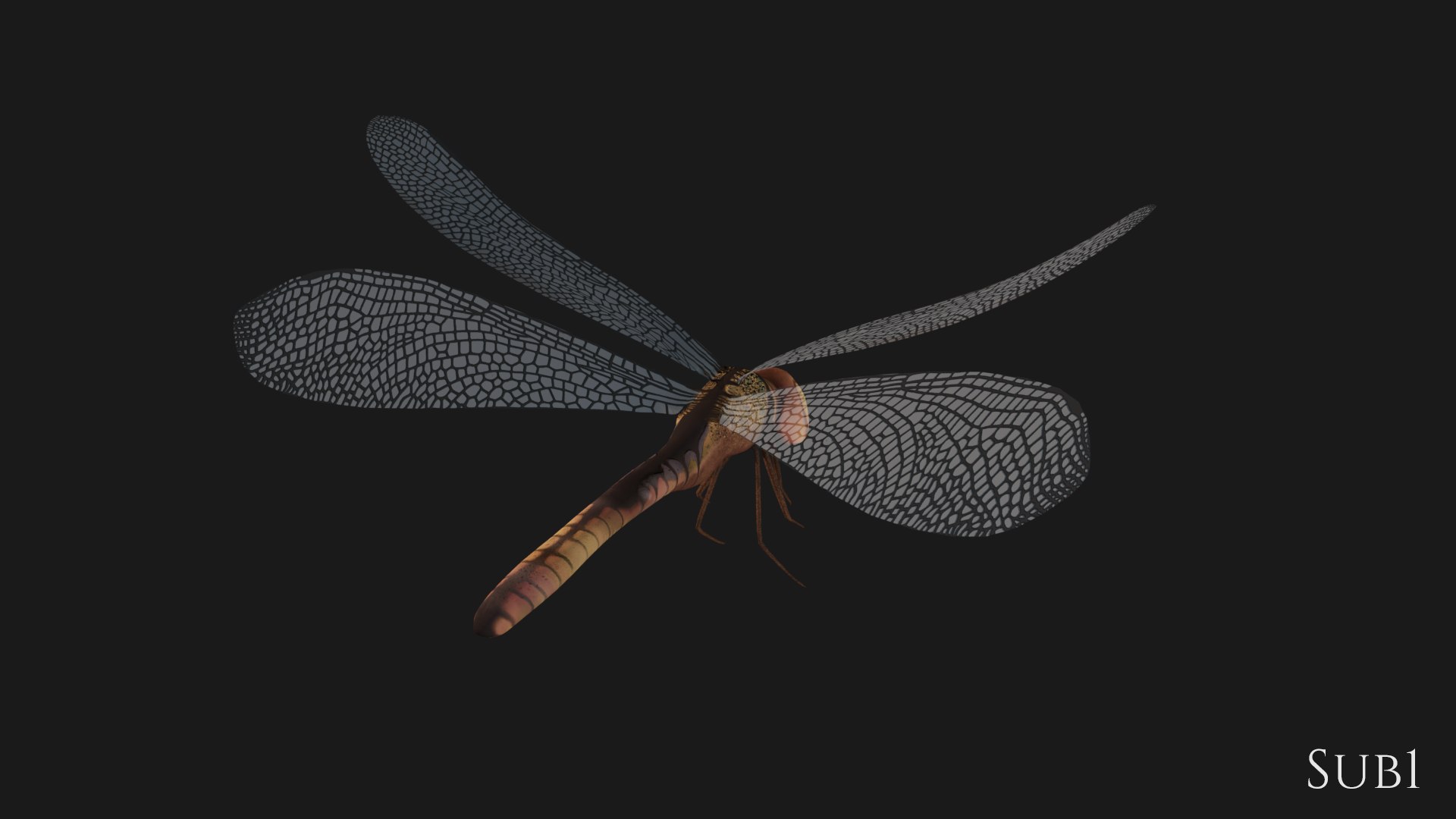 Dragonfly 3D model - TurboSquid 2138375
