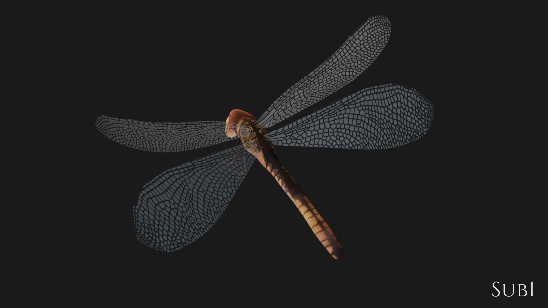 Dragonfly 3D model - TurboSquid 2138375
