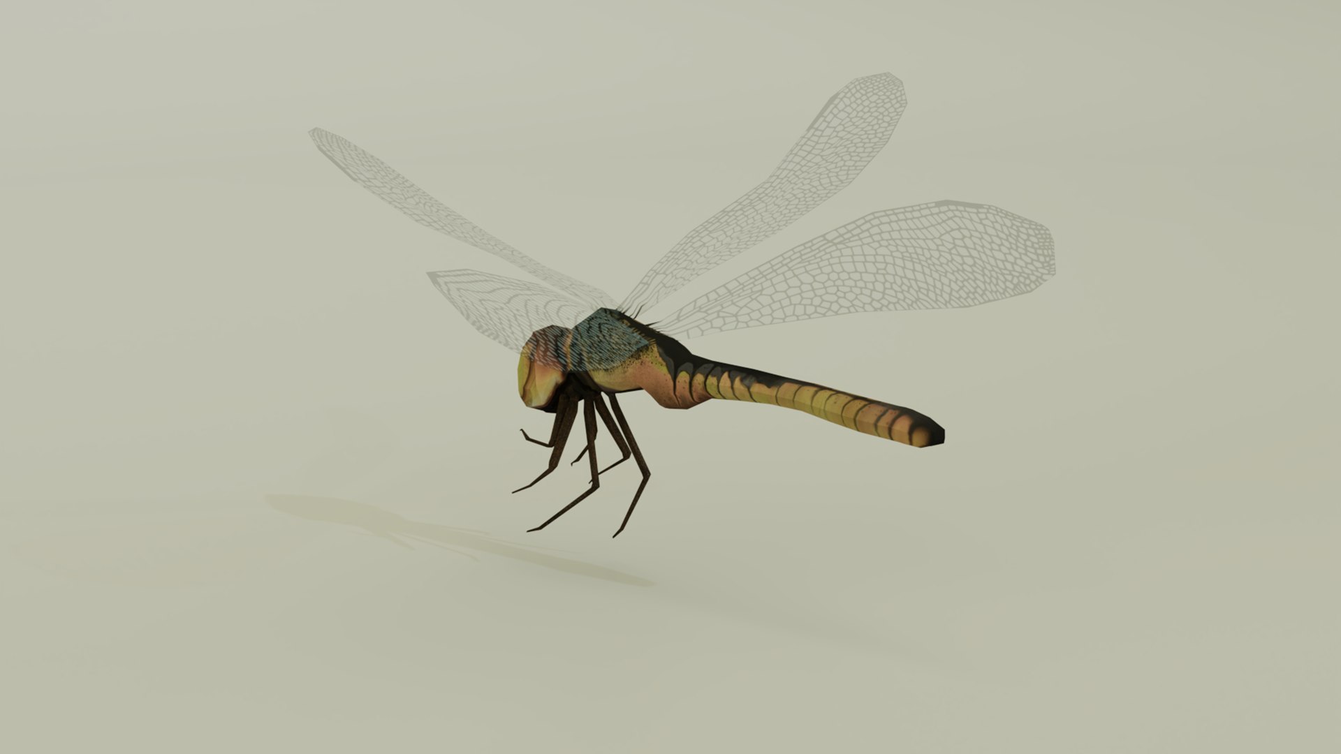 Dragonfly 3D model - TurboSquid 2138375