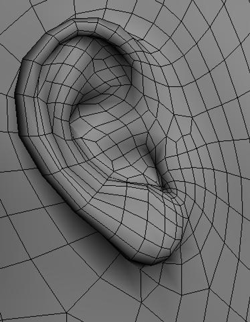 3d Base Mesh Human Head Model