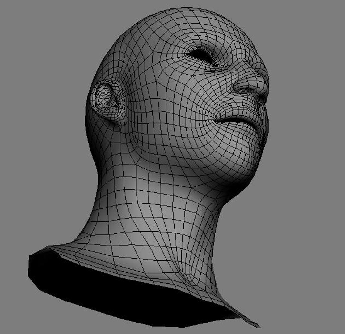 3d Base Mesh Human Head Model