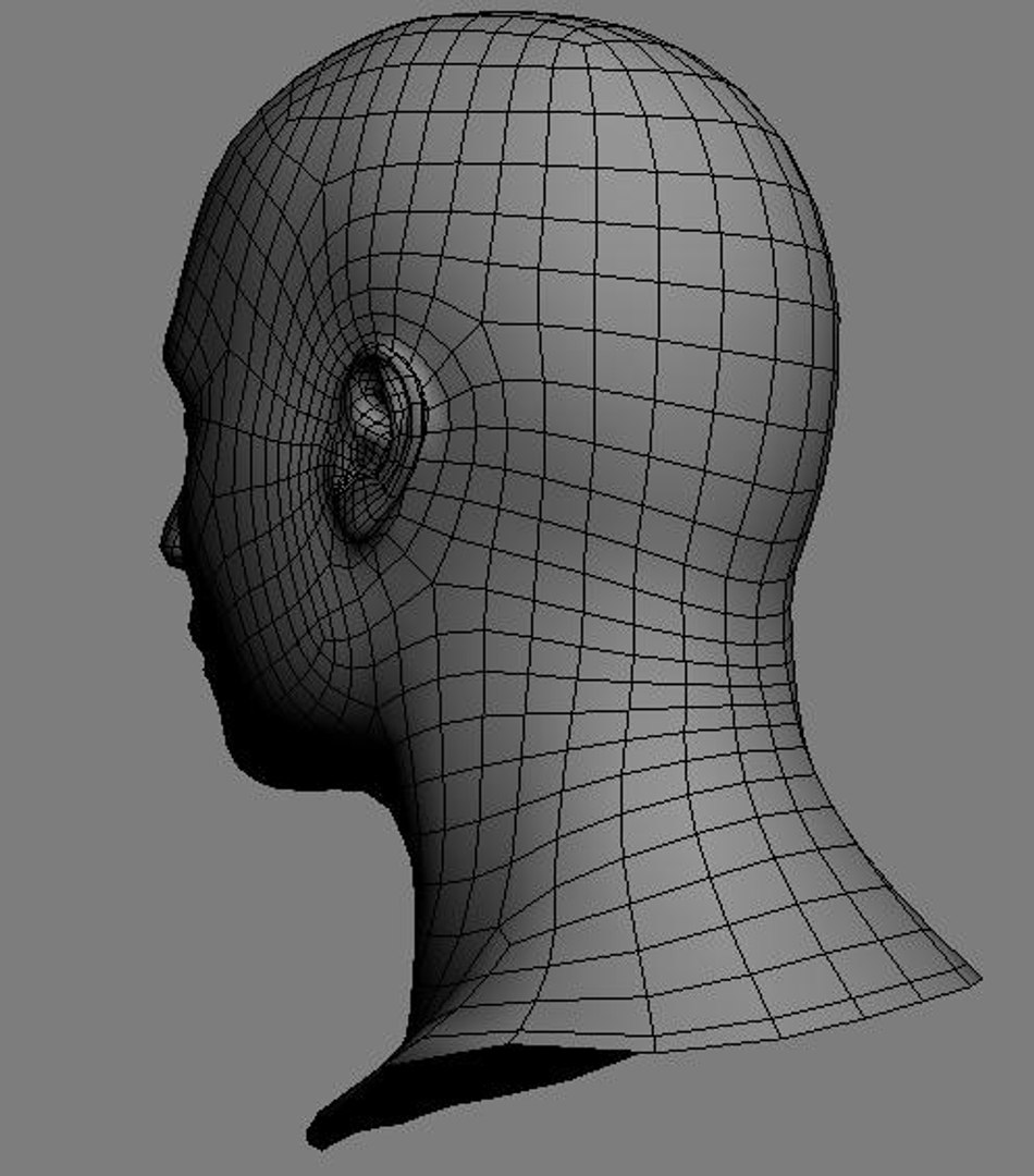 3d Base Mesh Human Head Model