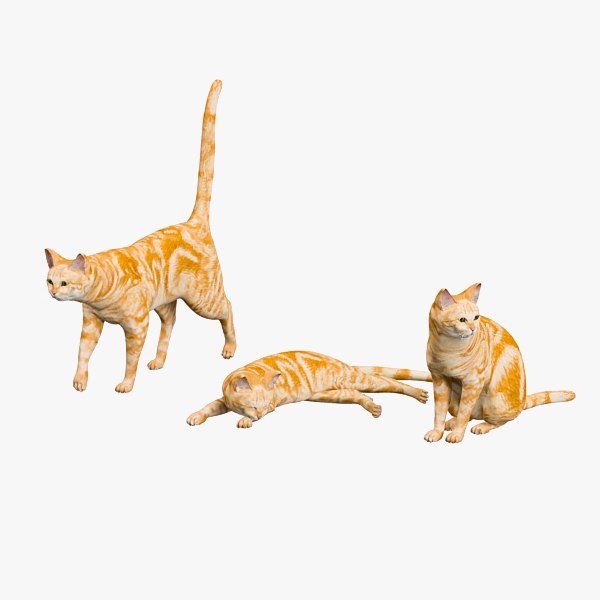 Cat Blender Models for Download | TurboSquid