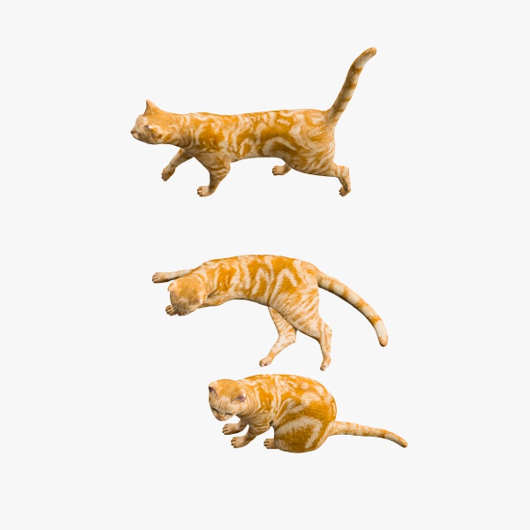 Cat 3d Max