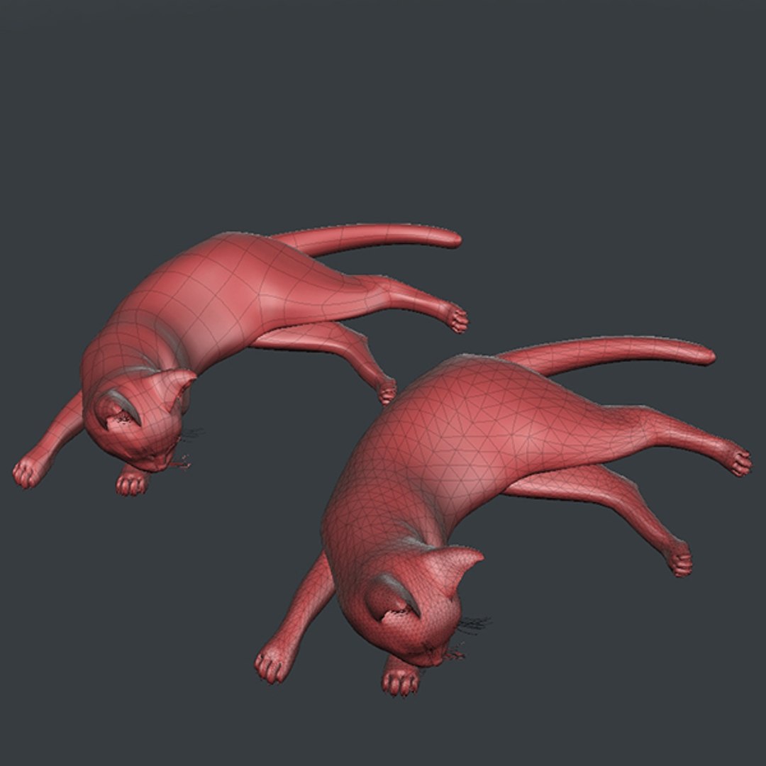 Cat 3d Max