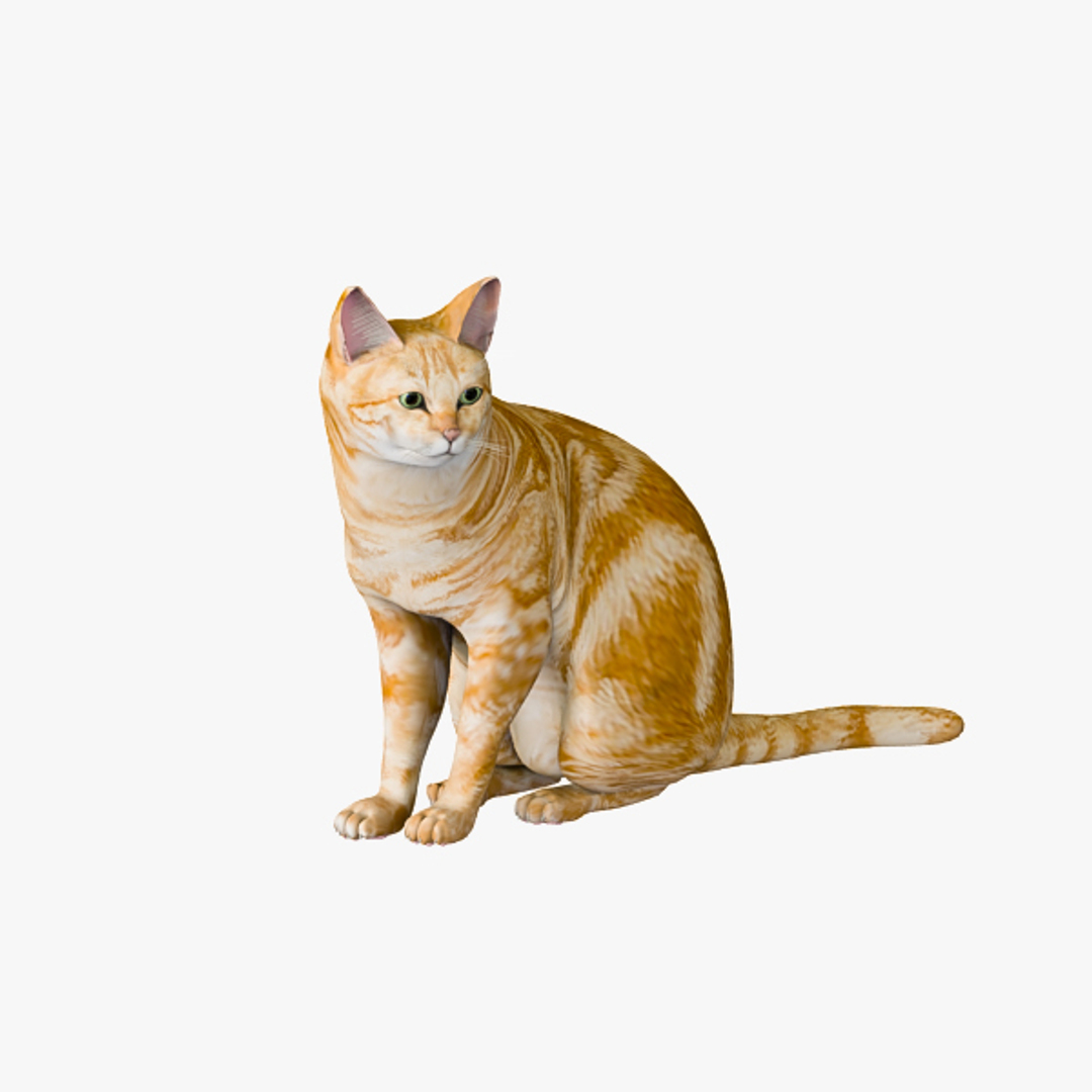 Cat 3d Max