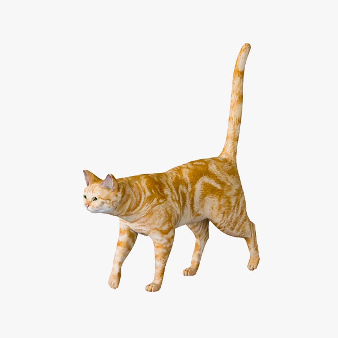 Cat 3d Max