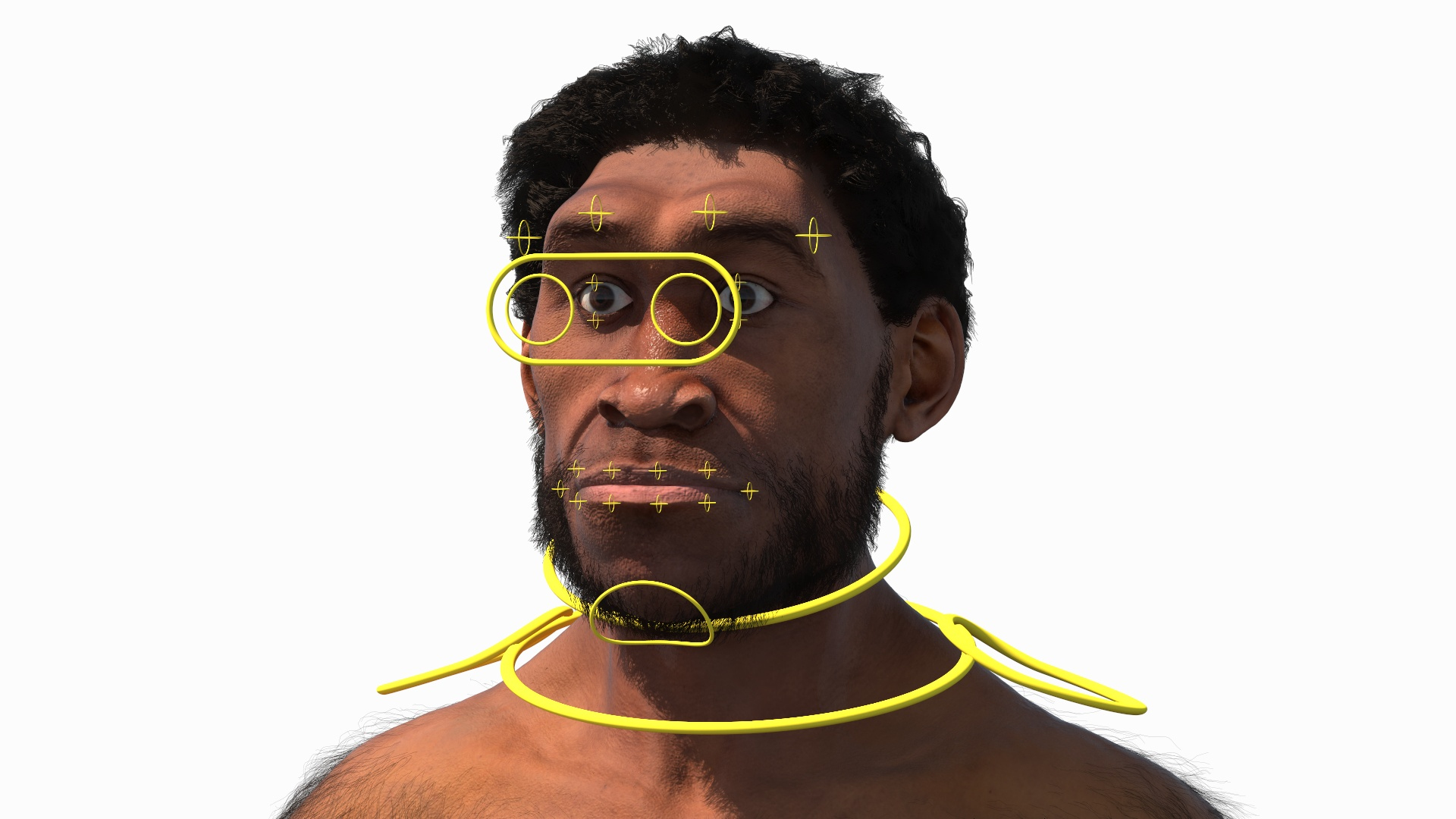 Homo Erectus Fur Rigged 3D Model - TurboSquid 2180778