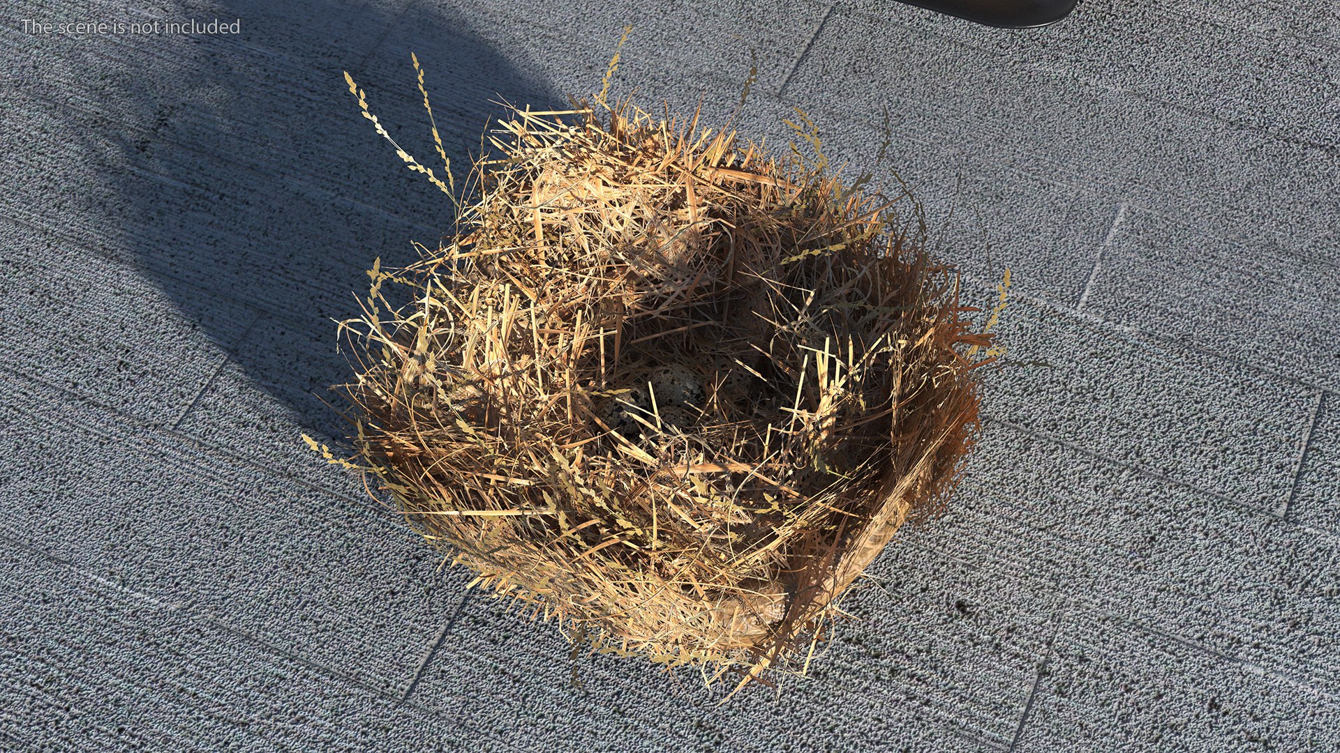 Bird Nests Collection 3D Model - TurboSquid 2209215
