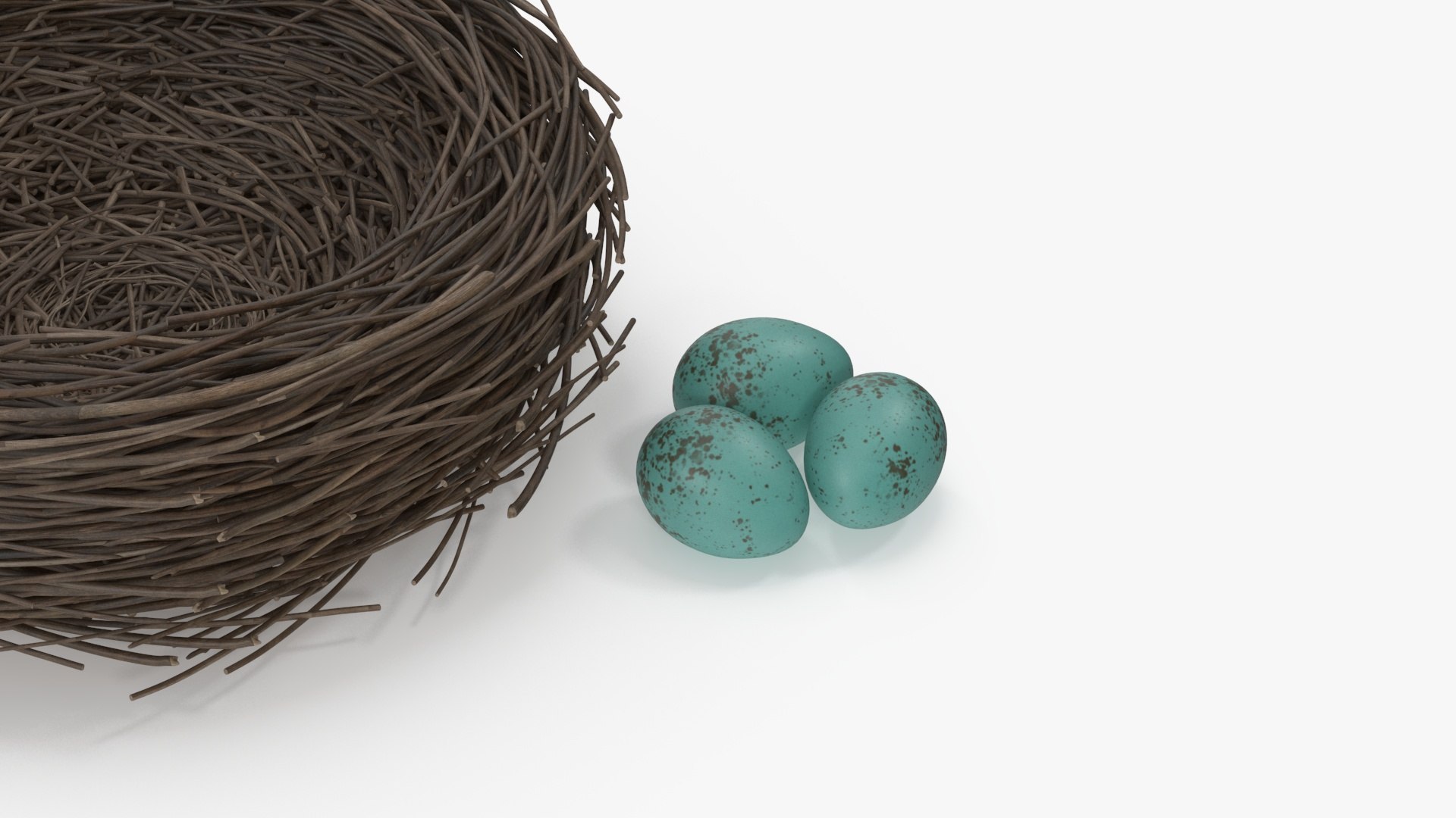 Bird Nests Collection 3D Model - TurboSquid 2209215