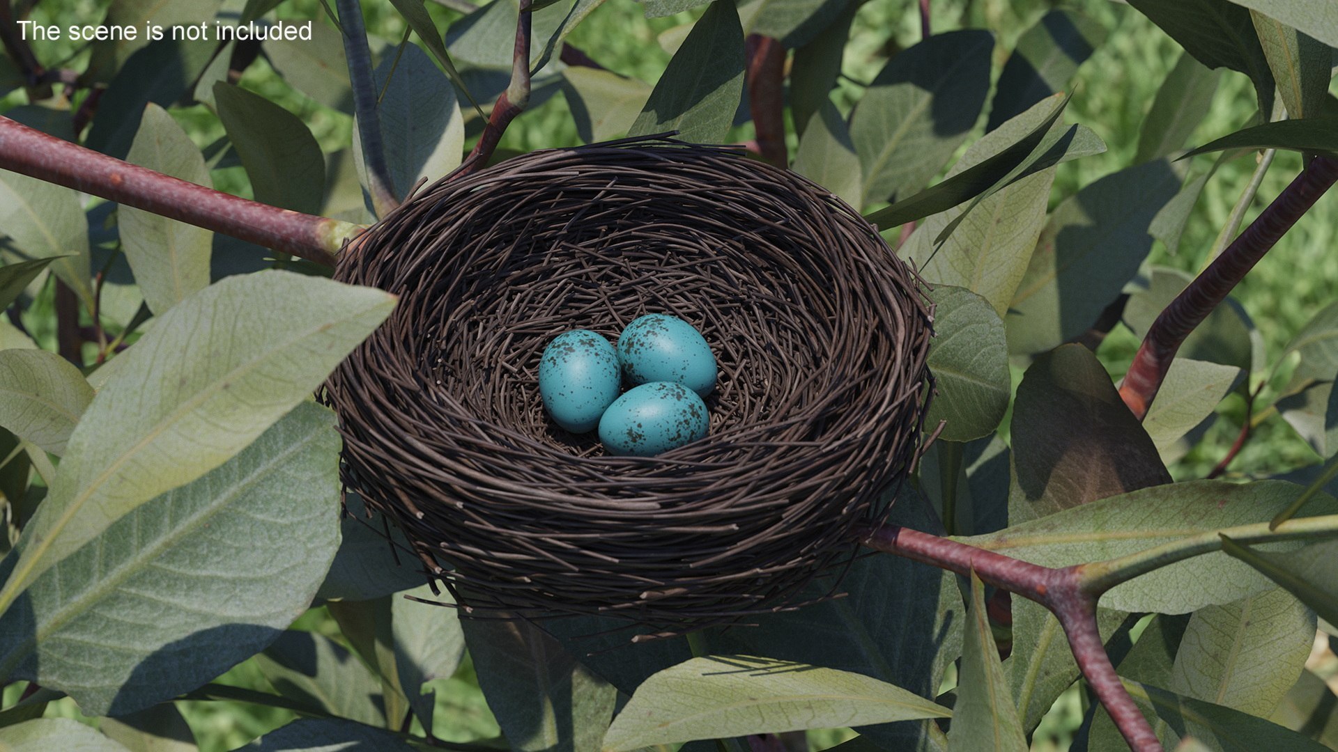 Bird Nests Collection 3D Model - TurboSquid 2209215