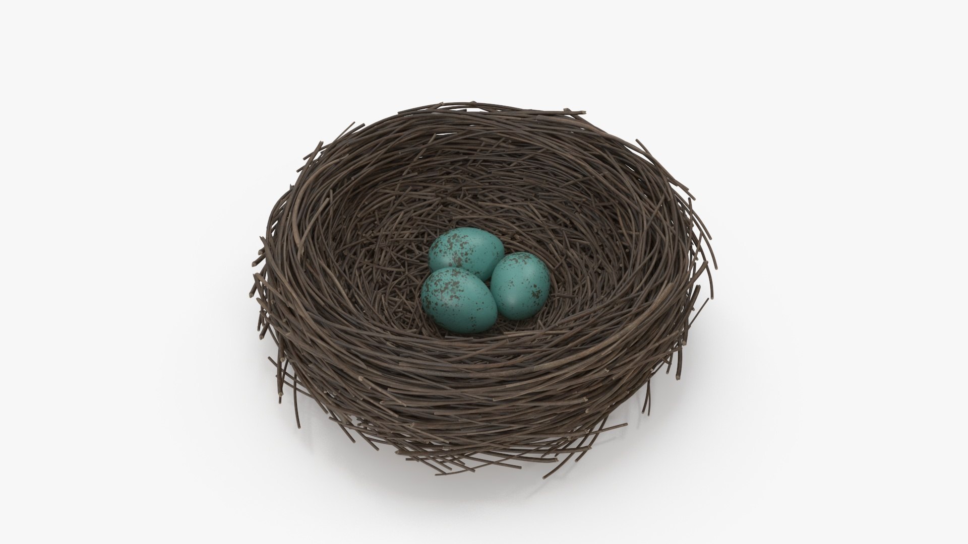 Bird Nests Collection 3D Model - TurboSquid 2209215