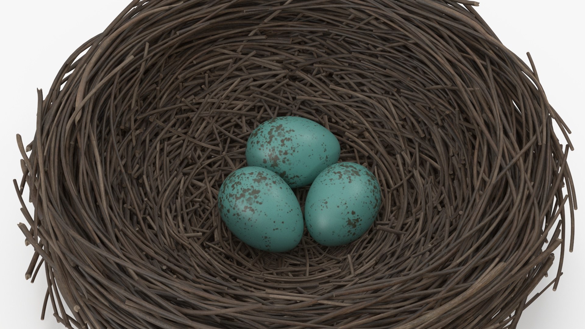 Bird Nests Collection 3D Model - TurboSquid 2209215