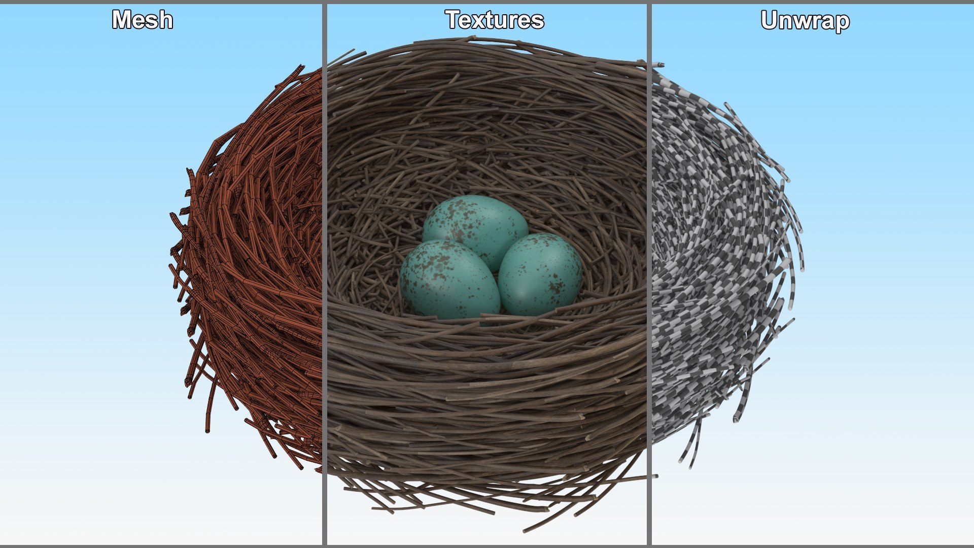 Bird Nests Collection 3D Model - TurboSquid 2209215
