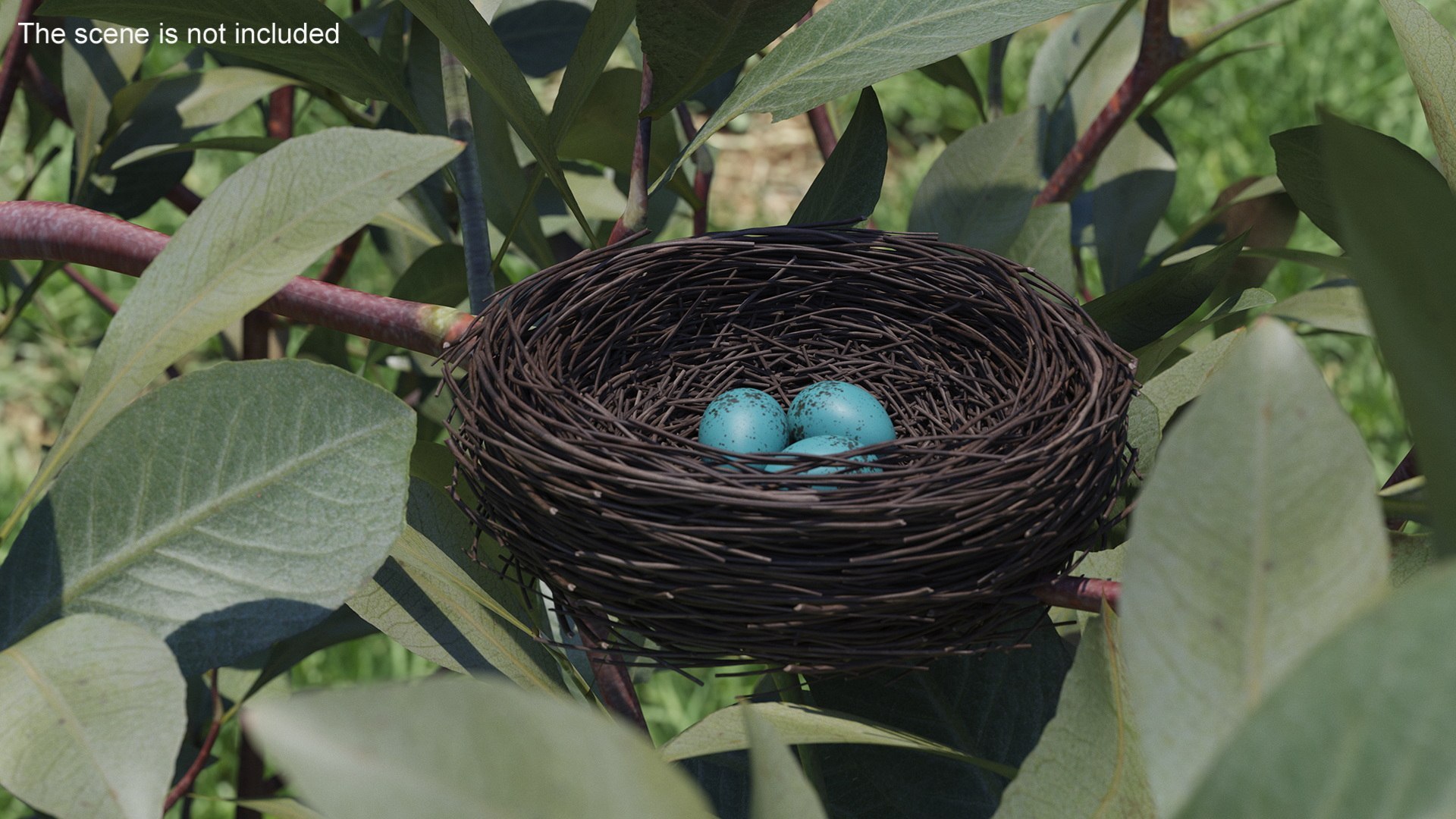 Bird Nests Collection 3D Model - TurboSquid 2209215